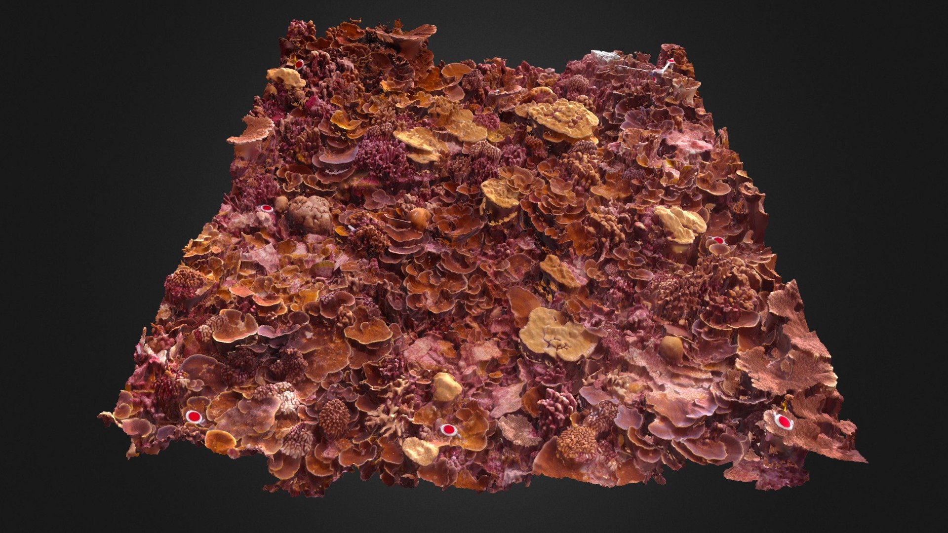 May 2015 Bay of Wrecks, Kiritimati, Kiribati - 3D model by baumlab ...