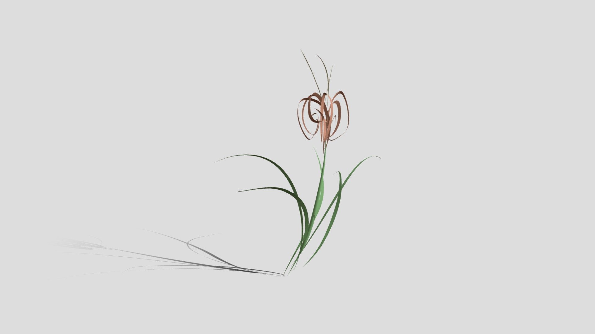 Flower - Download Free 3D model by AVZ (@micropalaeontology) [6dd0904 ...