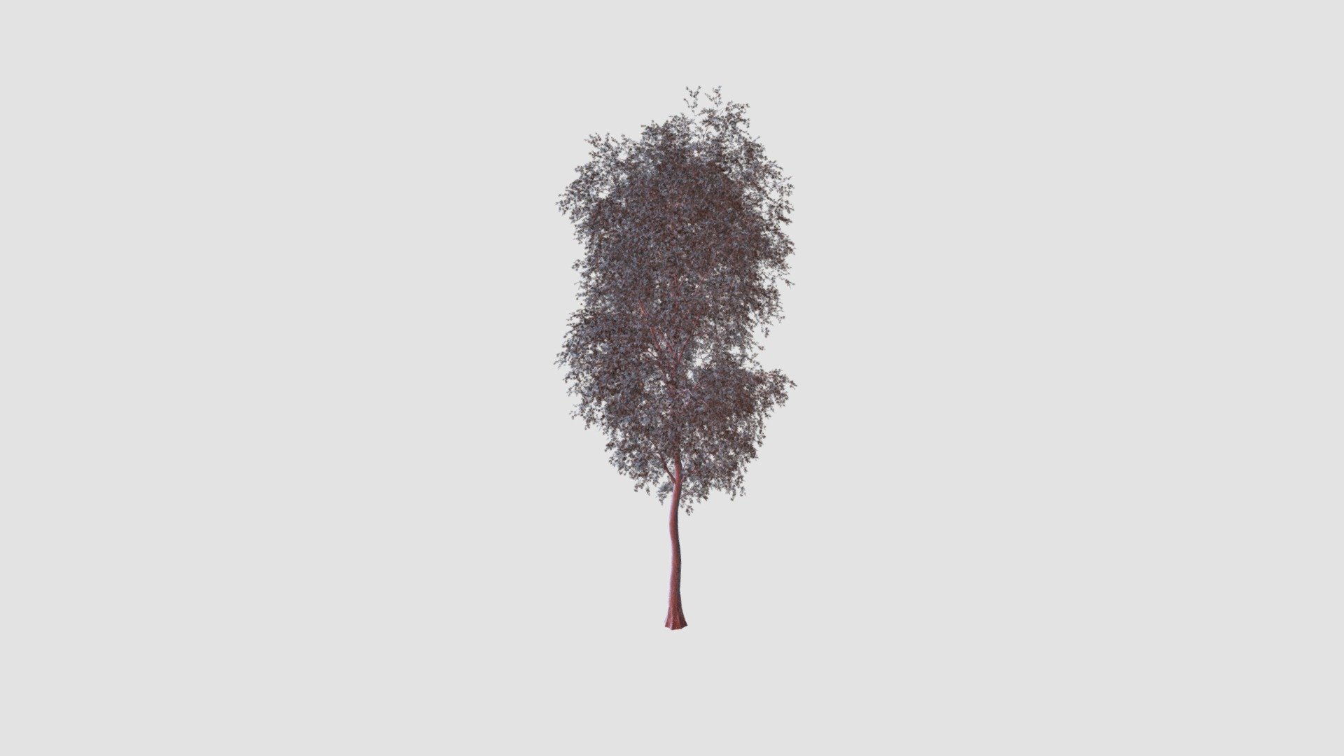 tree - Buy Royalty Free 3D model by Evermotion [6dd3cd7] - Sketchfab Store