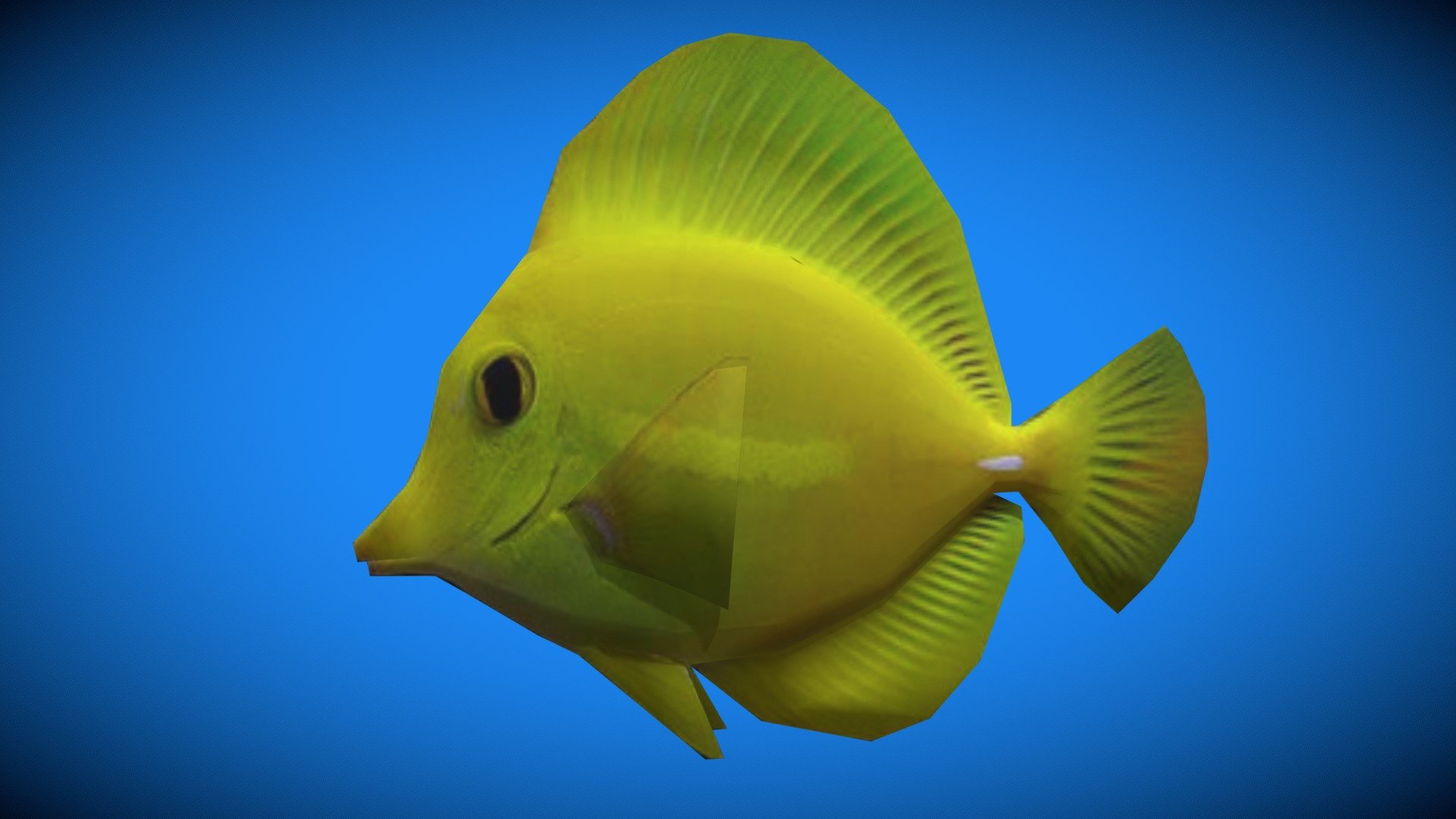 Yellow Tang - 3D model by Yabgu 3D (@yabgu3D) [6dd5179] - Sketchfab