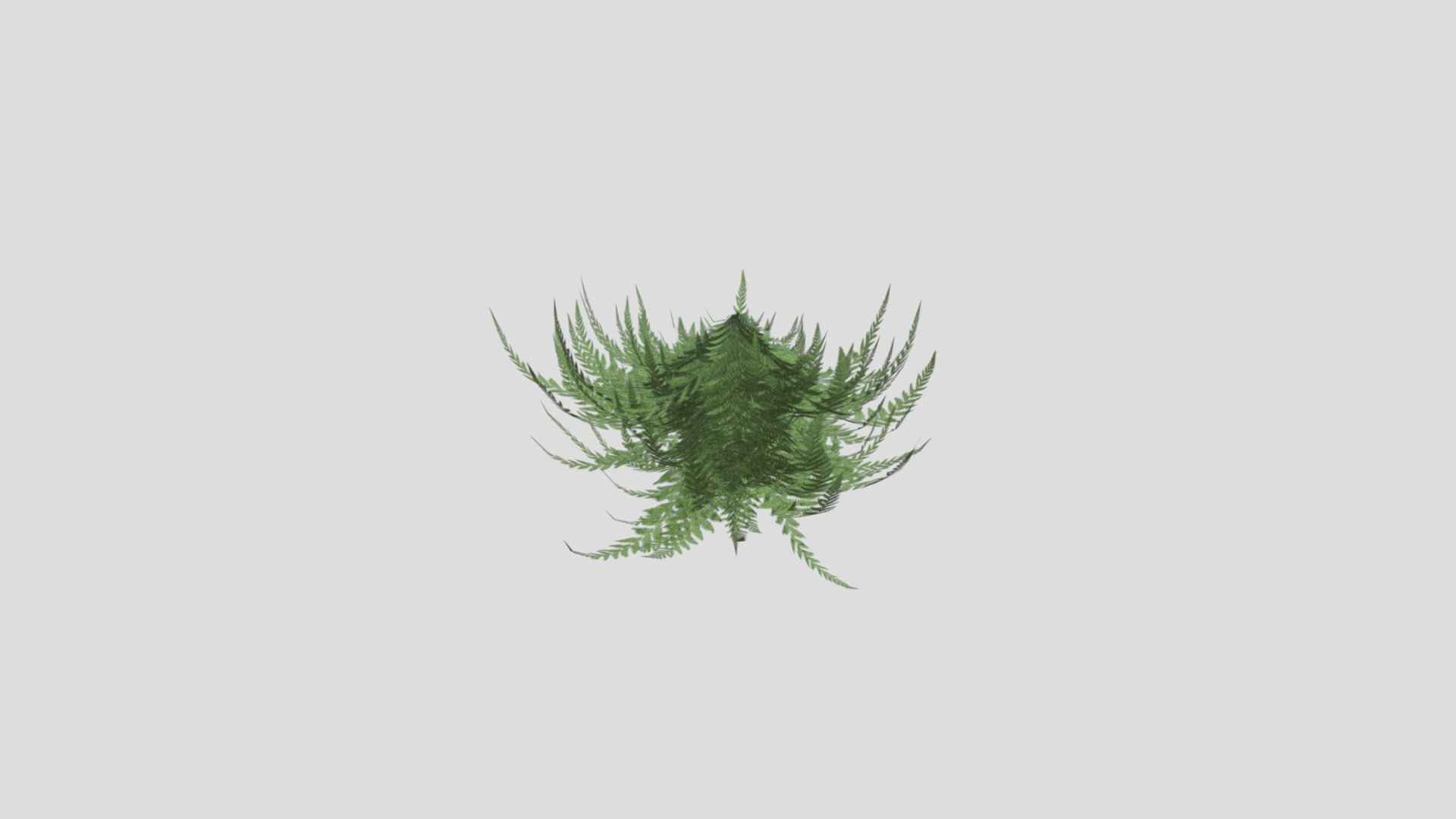 free animated fern fbx - Download Free 3D model by aemeraldanimation ...