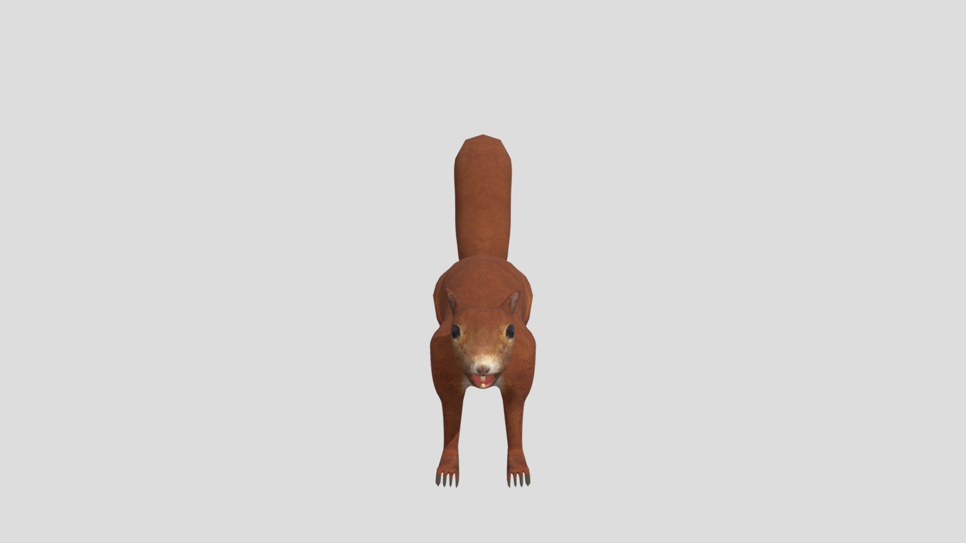 Ardilla1 - Download Free 3D model by SAVIA_Colombia (@Minambiente_Col ...