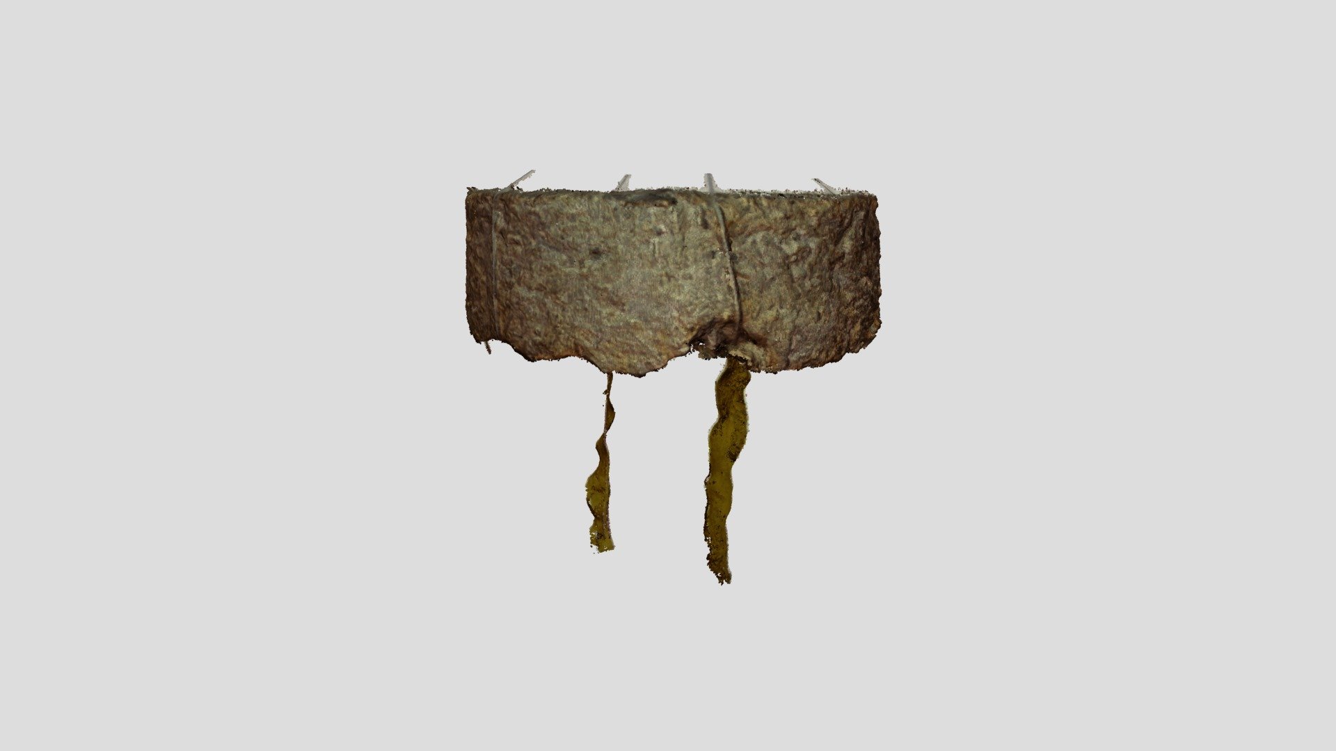 Mycelium Buoy + Kelp - 3D model by franklinheng [6ddb003] - Sketchfab
