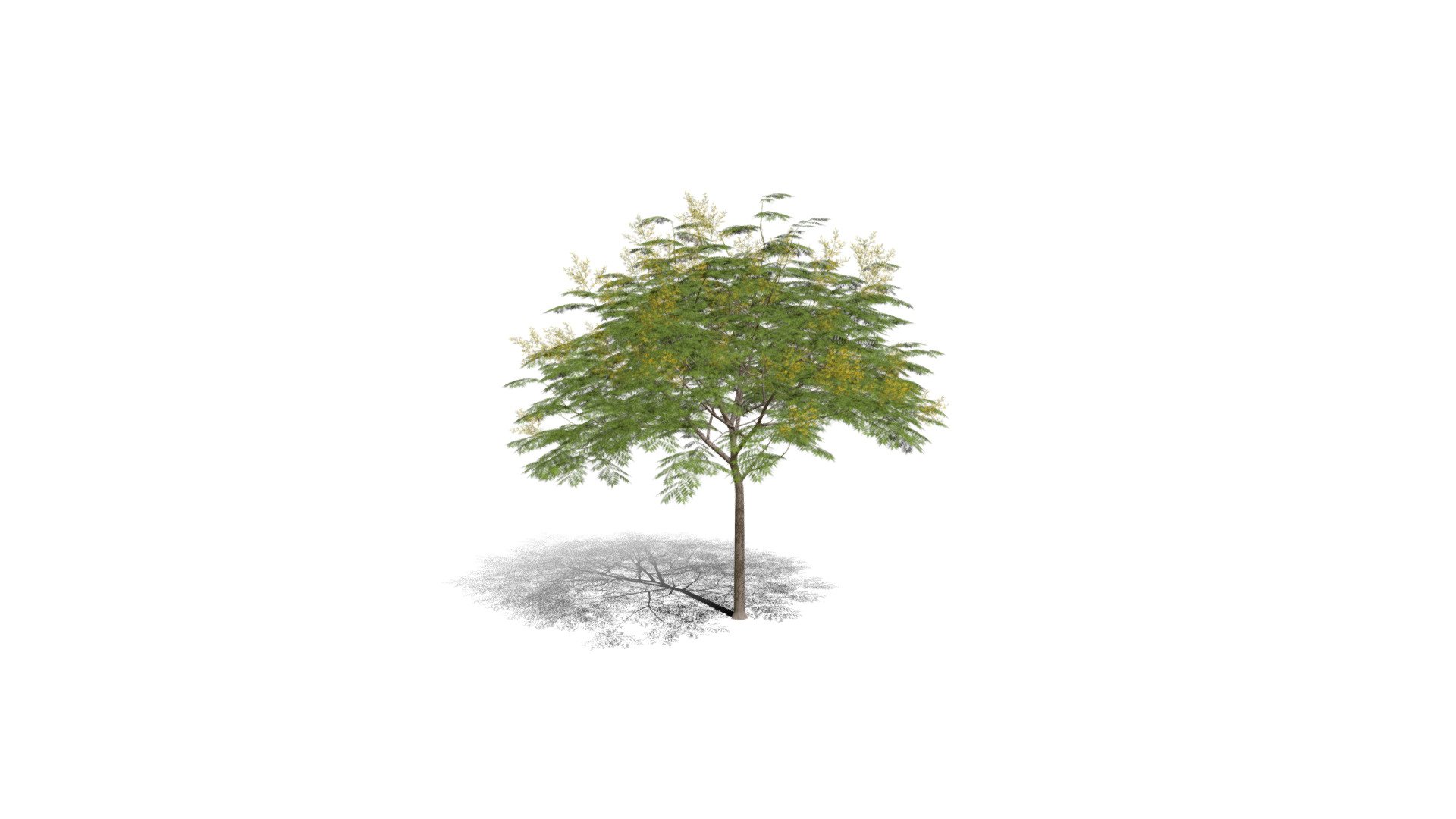 Realistic HD Chinese flame tree (1/20) - Download Free 3D model by ...