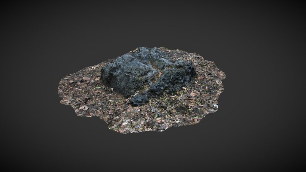 3D Scan Rock Small 02 - 3D model by Reltseotu [6dead90] - Sketchfab