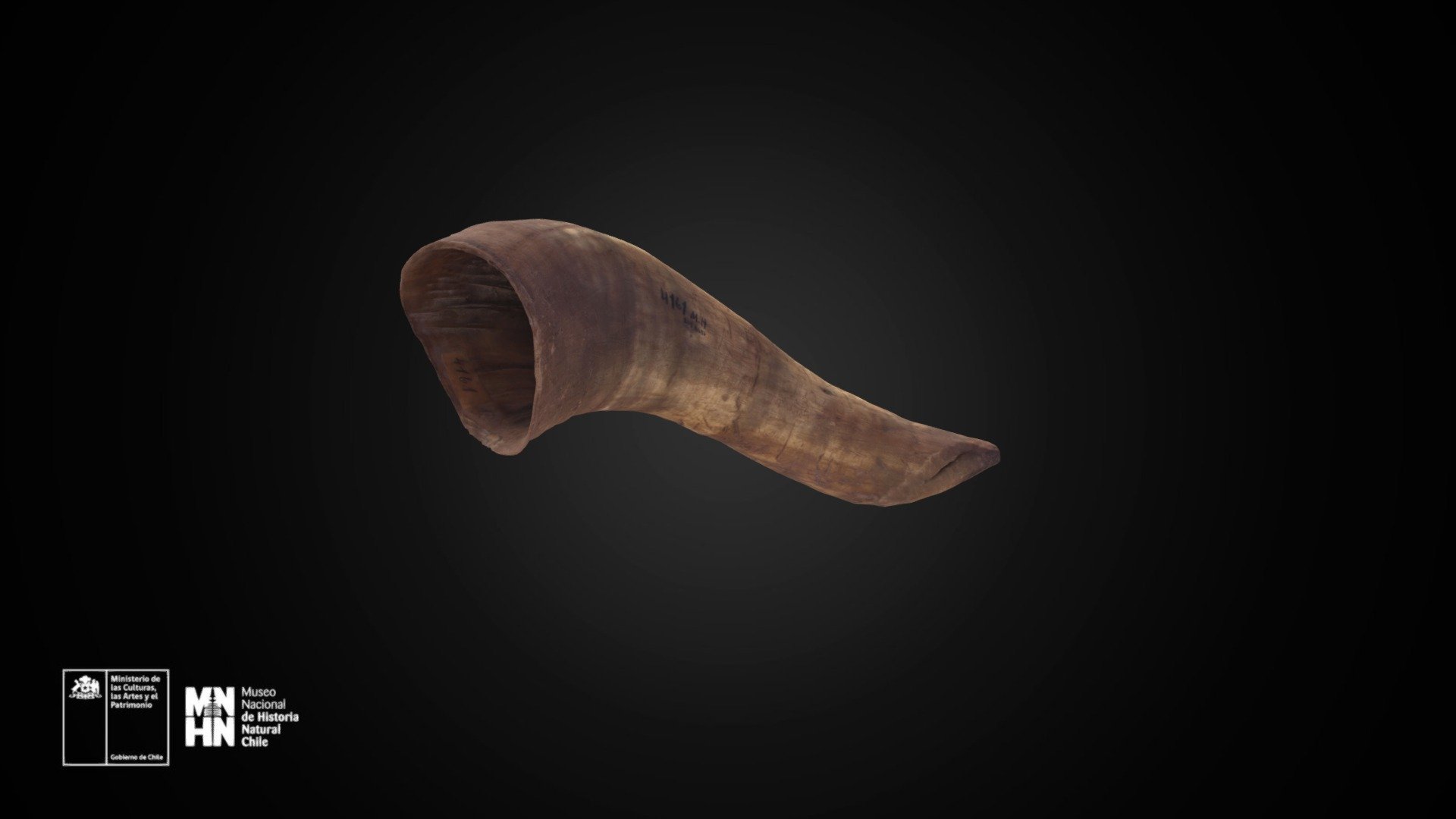 Kullkull Mapuche - Download Free 3D model by Museo Nacional de Historia ...