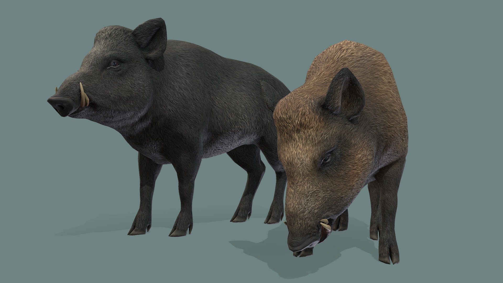 Boar textures - 3D model by RedDeer (@billl90) [6e11a8a] - Sketchfab