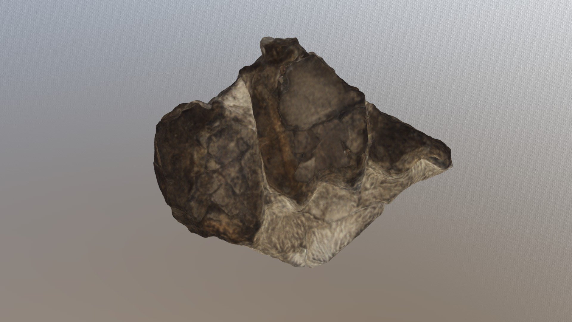 Hadrosaur Vertebrae (VCU_3D_3813) - 3D model by Virtual Curation Lab ...