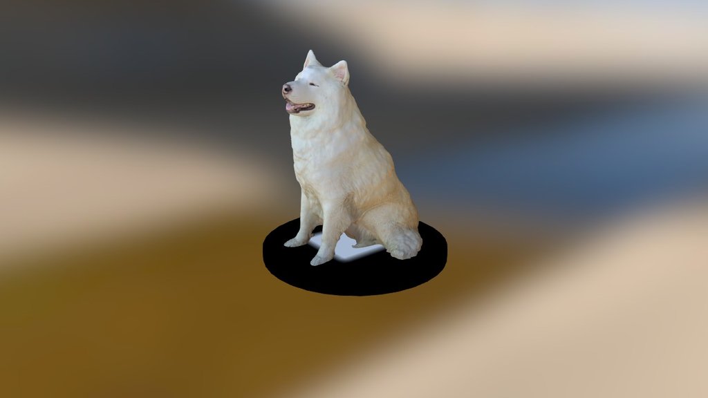 Bobi - 3D model by my3dpet.com.tw [6e1ea51] - Sketchfab