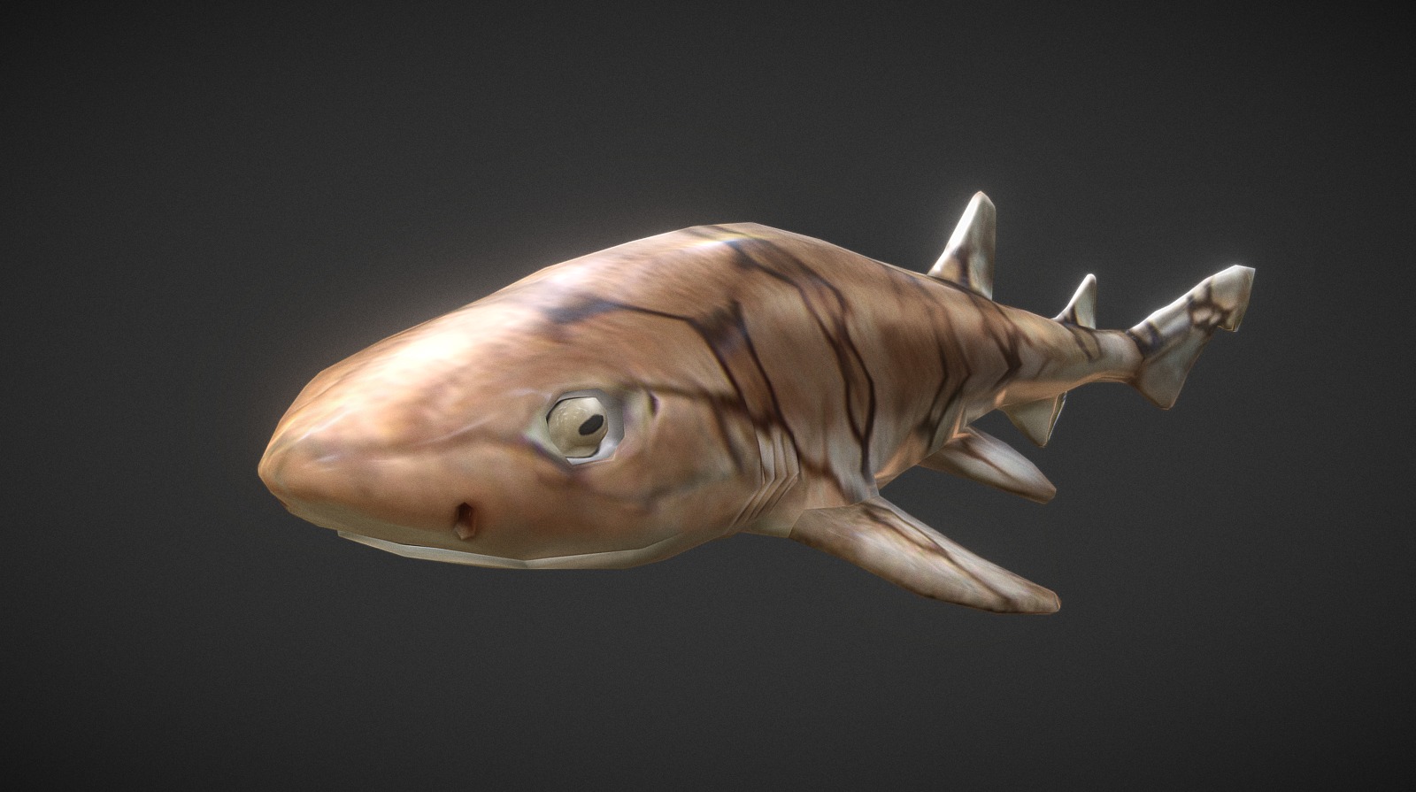 Cat Shark - 3D model by YOURS (@double2) [6e1f8d4] - Sketchfab