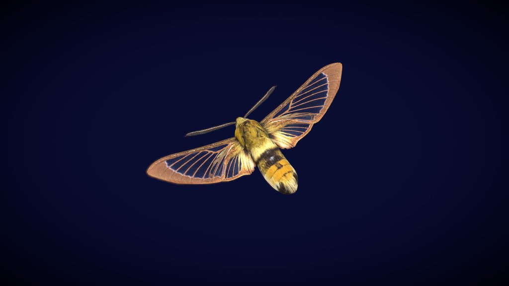 animated animals - A 3D model collection by dom86link - Sketchfab