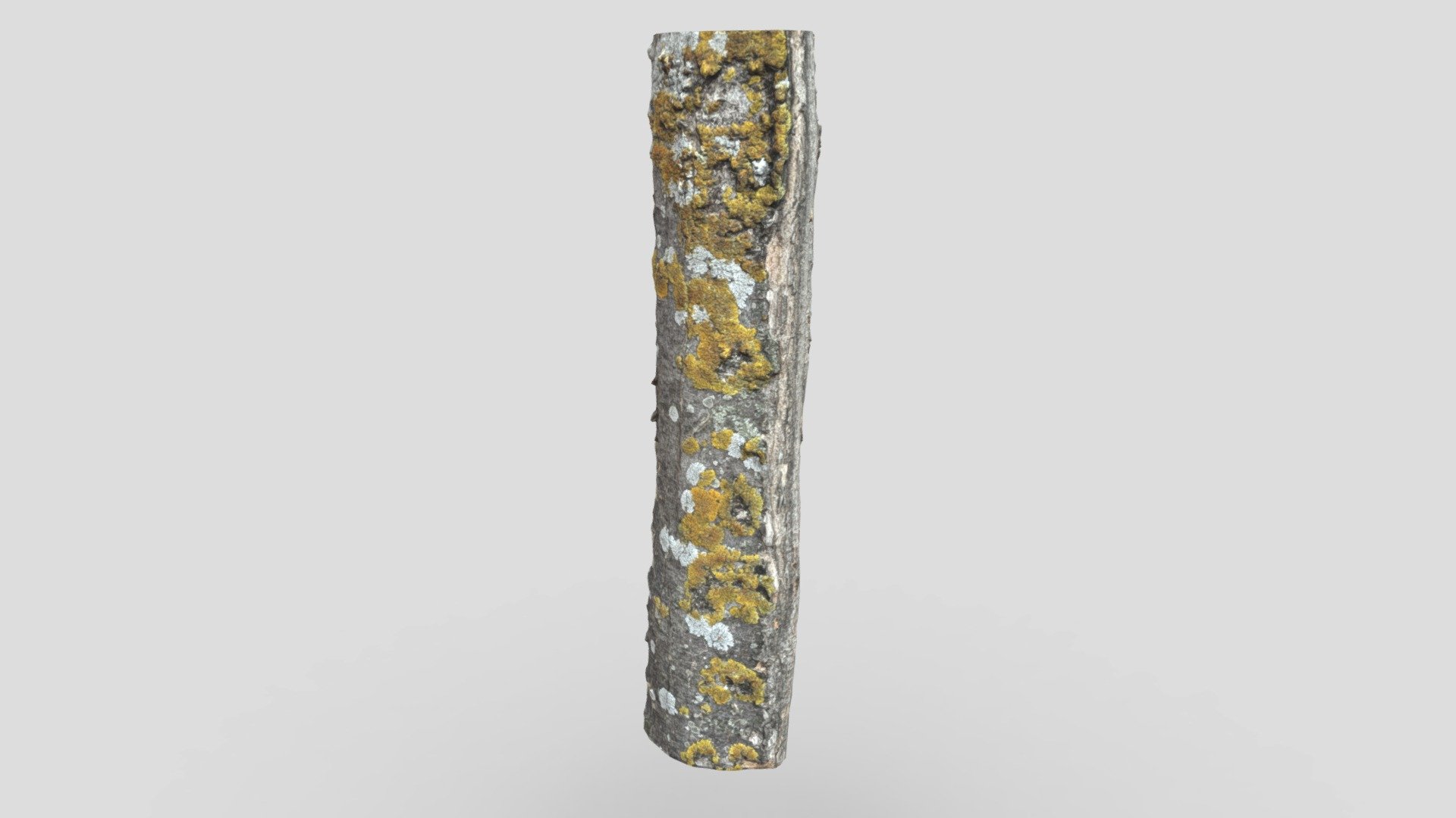 Tree_Core - Download Free 3D model by kcozy-c0c4a5 [6e22574] - Sketchfab