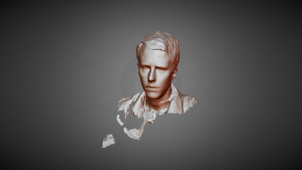 Self Portrait - 3D model by epgra [6e2addc] - Sketchfab