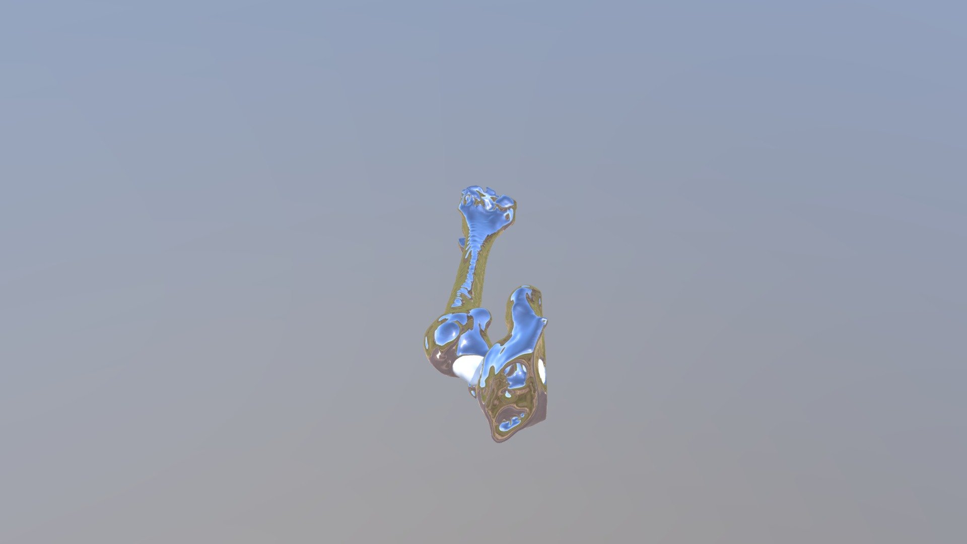 Femur - 3D model by cgonzalez08 [6e2d09e] - Sketchfab