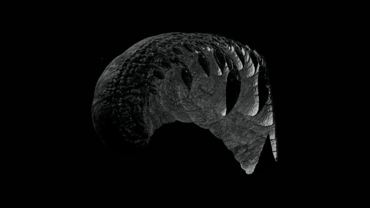 Shell_structures 3D models - Sketchfab
