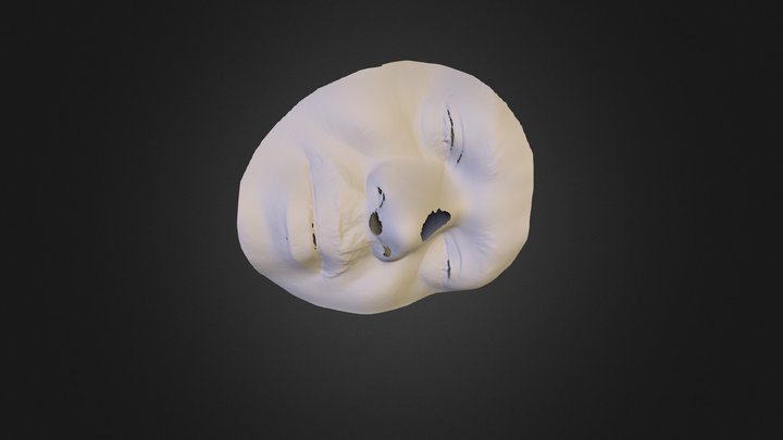 Tej 3D models - Sketchfab