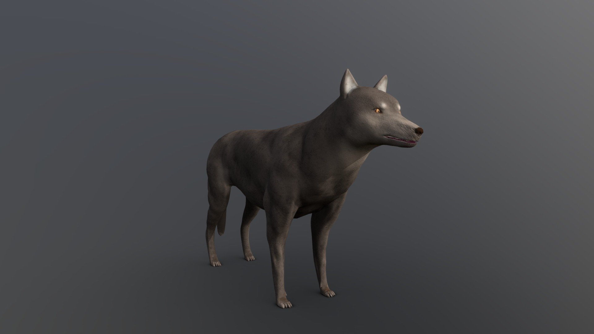 Simple Wolf - Download Free 3D model by Seth Santos (@Seth7Santos ...