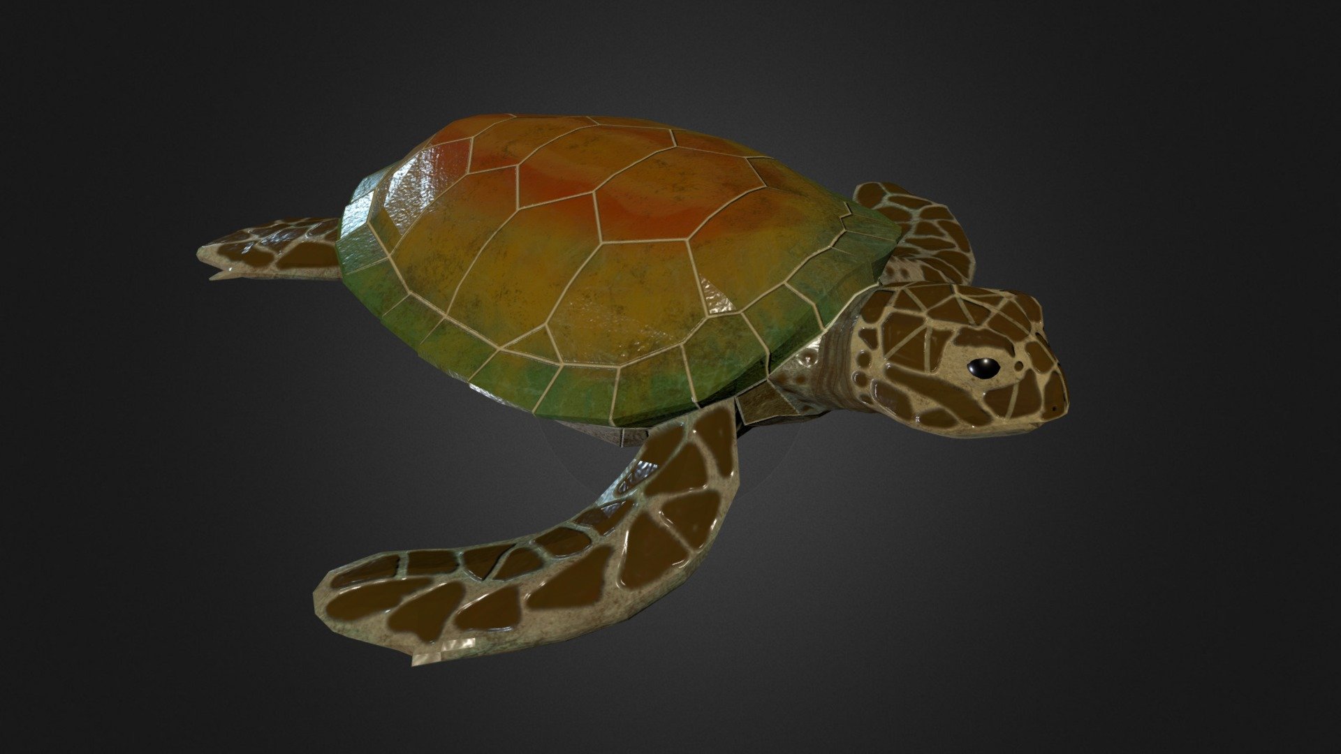 Turtle - Download Free 3D model by Matt LeMoine (@Matt_LeMoine ...