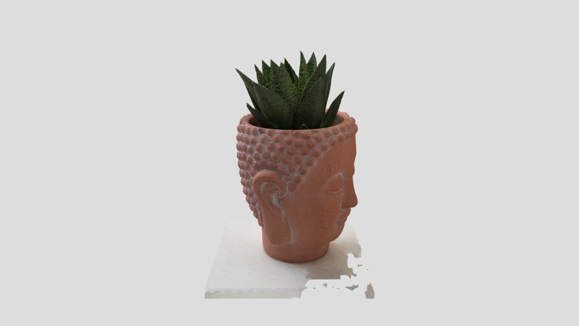 Plant 3D scan - Download Free 3D model by MR_samyy [6e5771f] - Sketchfab
