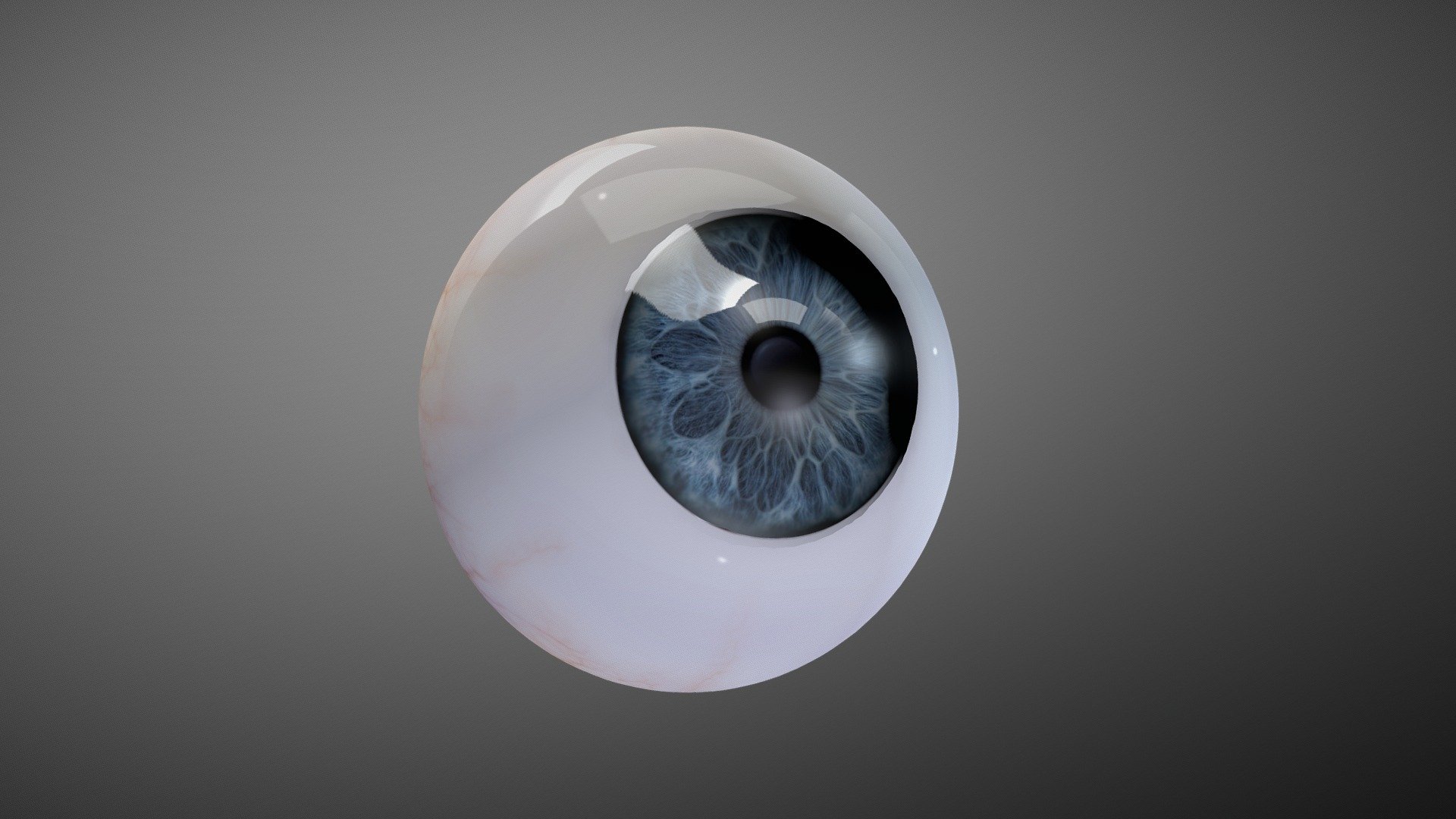 Human Eye - 3D model by elinfeldgrill [6e577eb] - Sketchfab