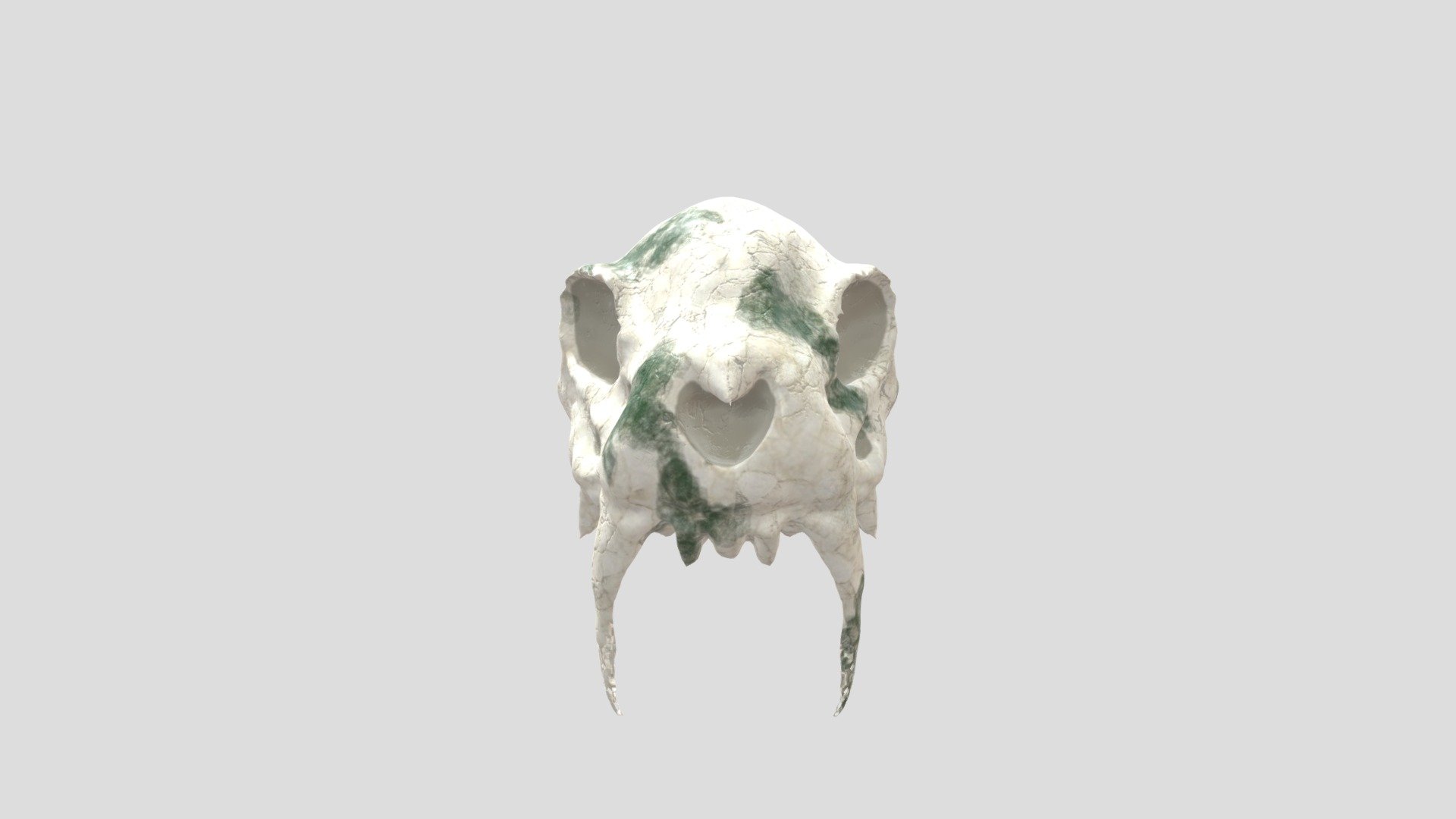 Sabertooth Tiger Skull - Download Free 3D model by PhantomNight1 ...