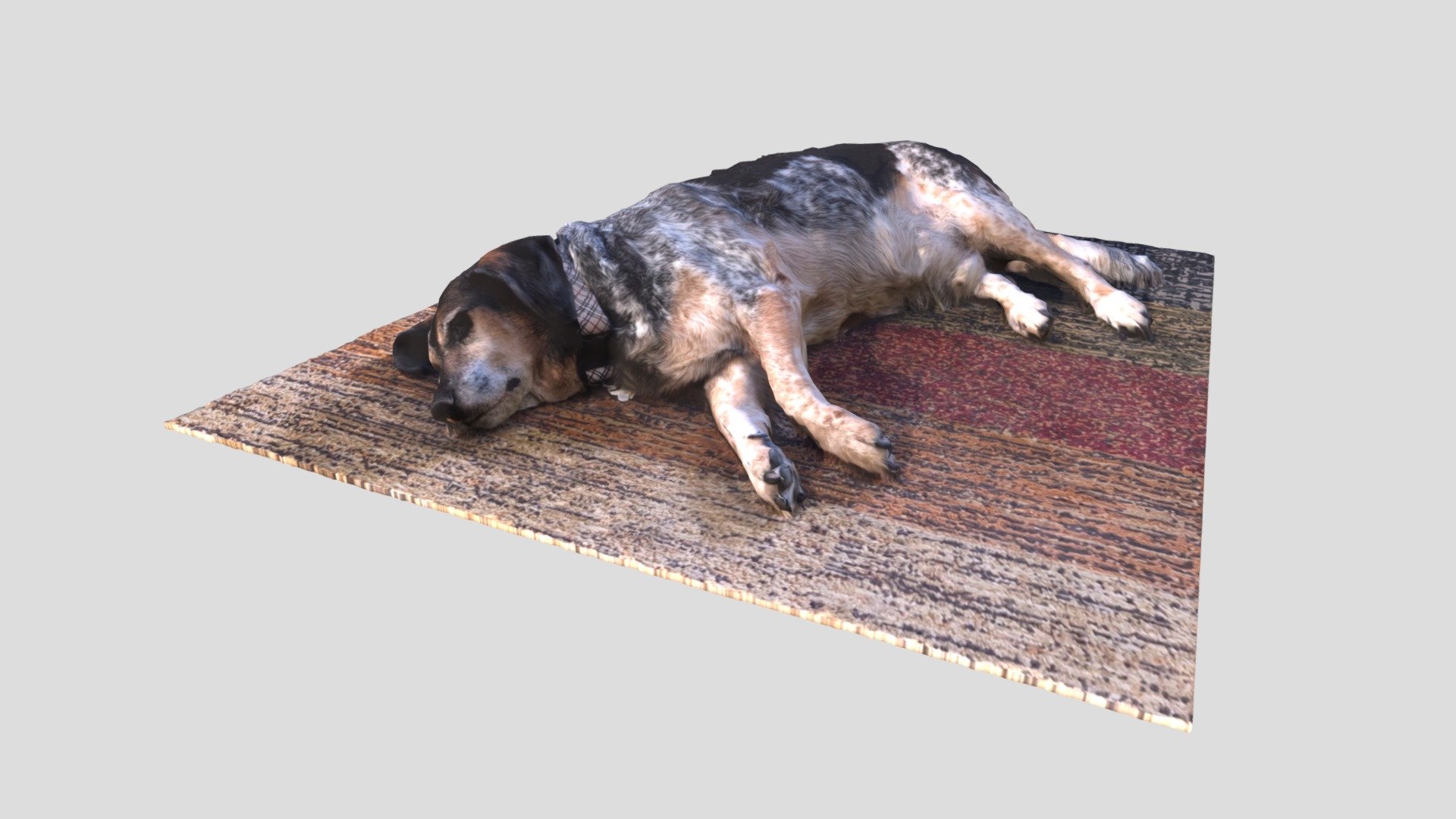 Hank 08-01-2022 - 3D model by amos.joseph [6e5ba45] - Sketchfab