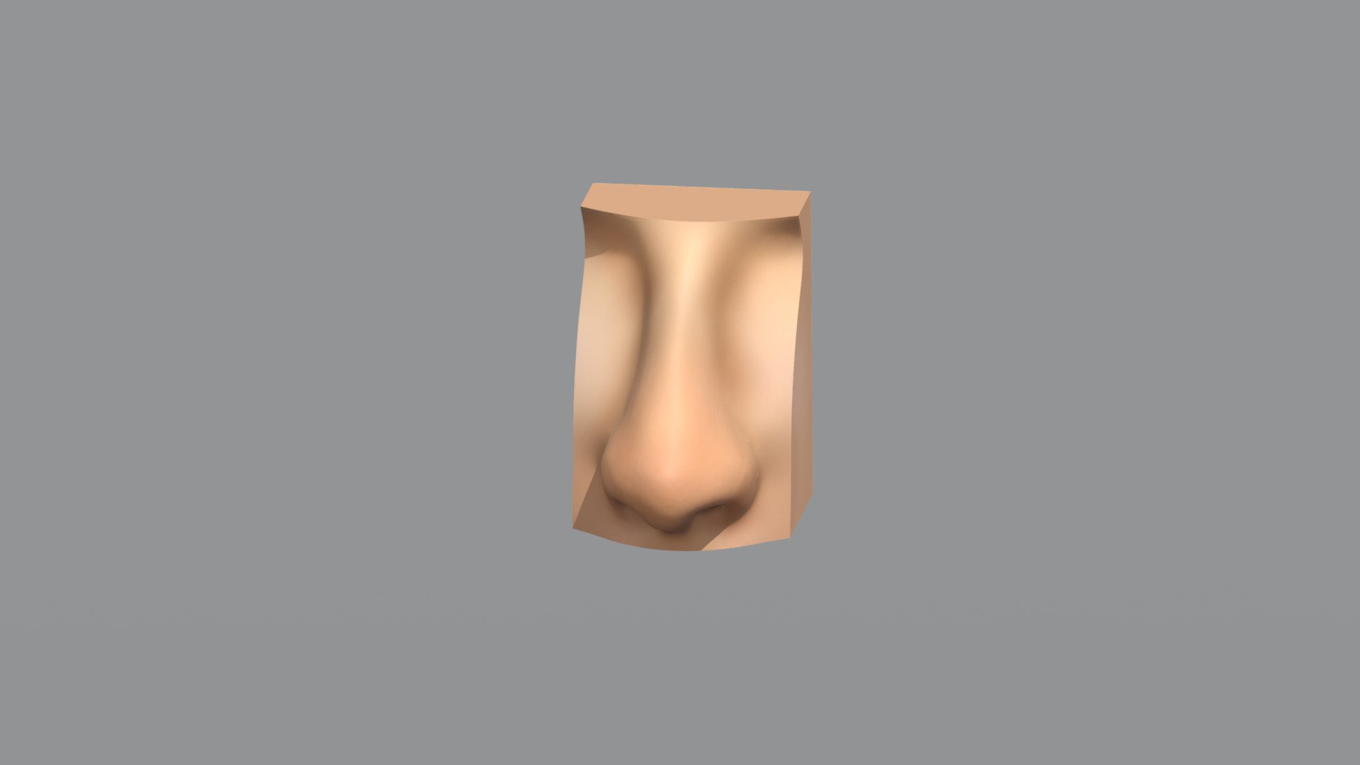 Nose - 3D model by AlephNull [6e5c798] - Sketchfab