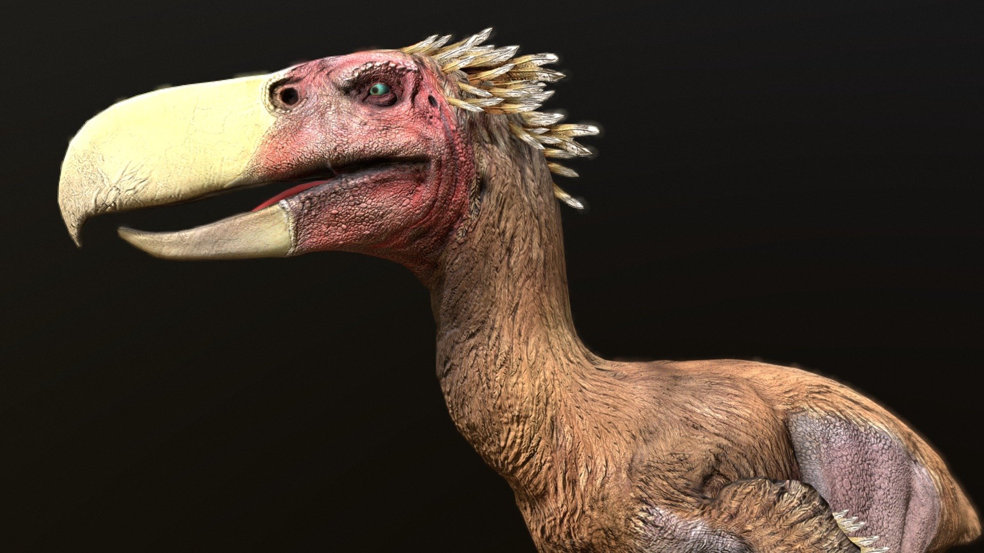 Kelenken - Buy Royalty Free 3D model by robertfabiani [6e7163e ...