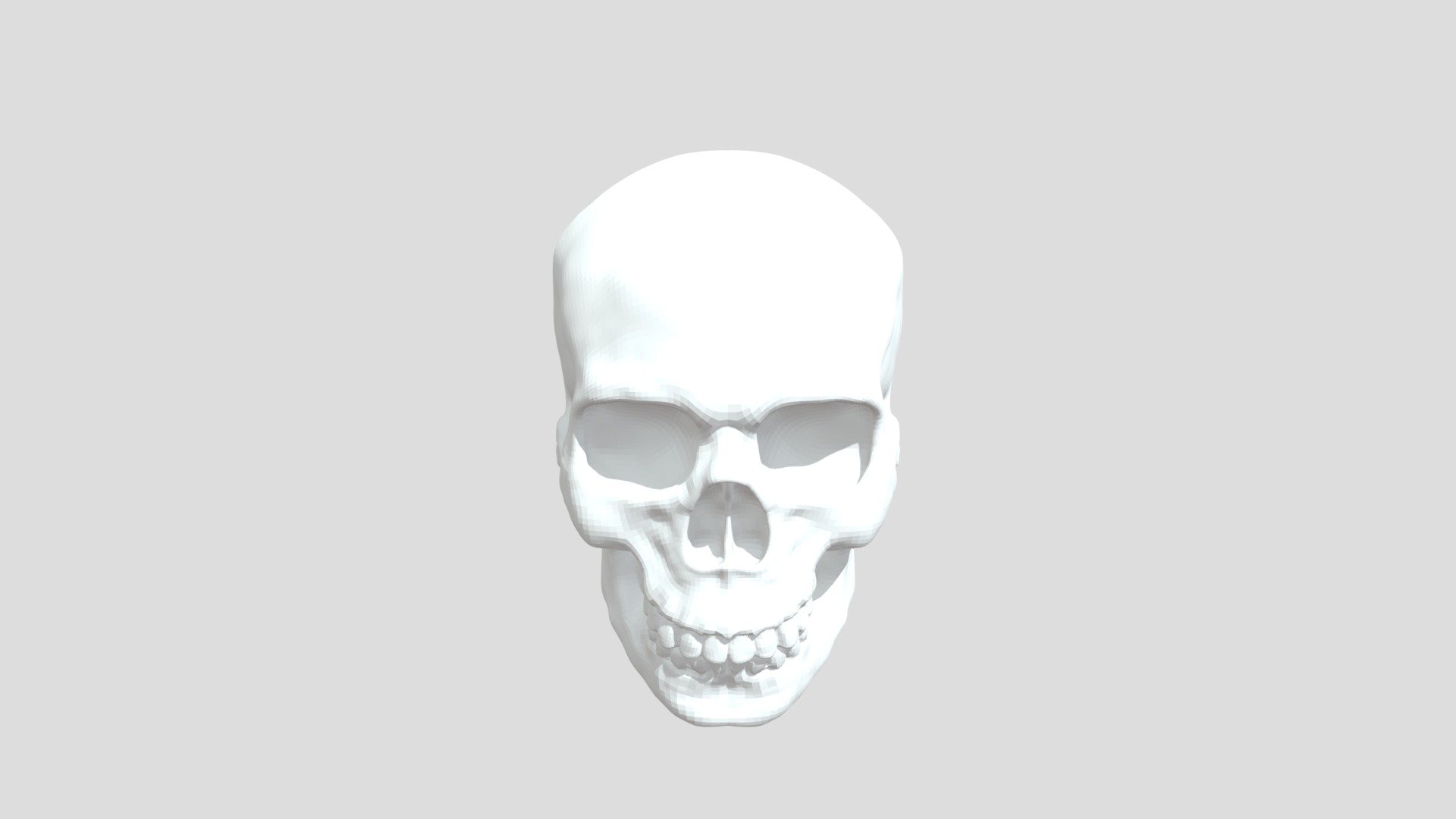 Skull - 3D model by anatomyvr [6e717f2] - Sketchfab
