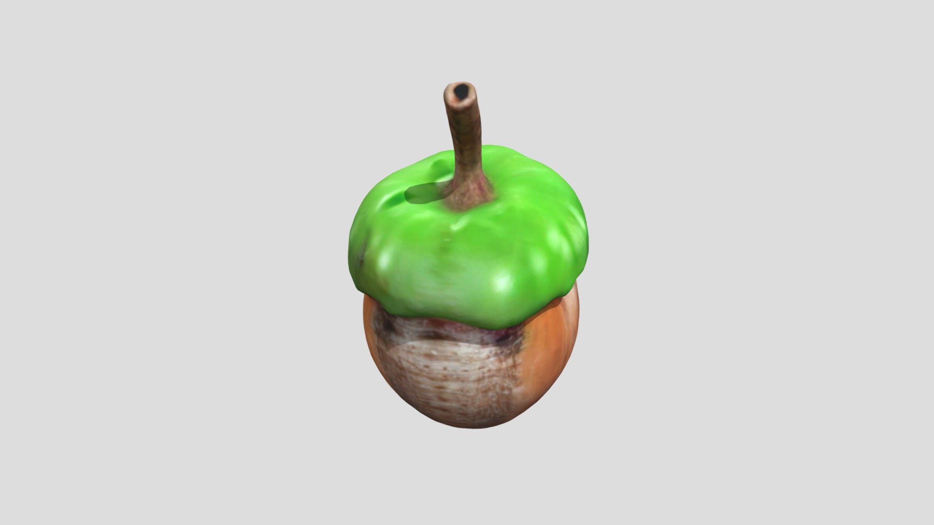 Acorn 2 L - Download Free 3D model by stefanorivera [6e72b46] - Sketchfab