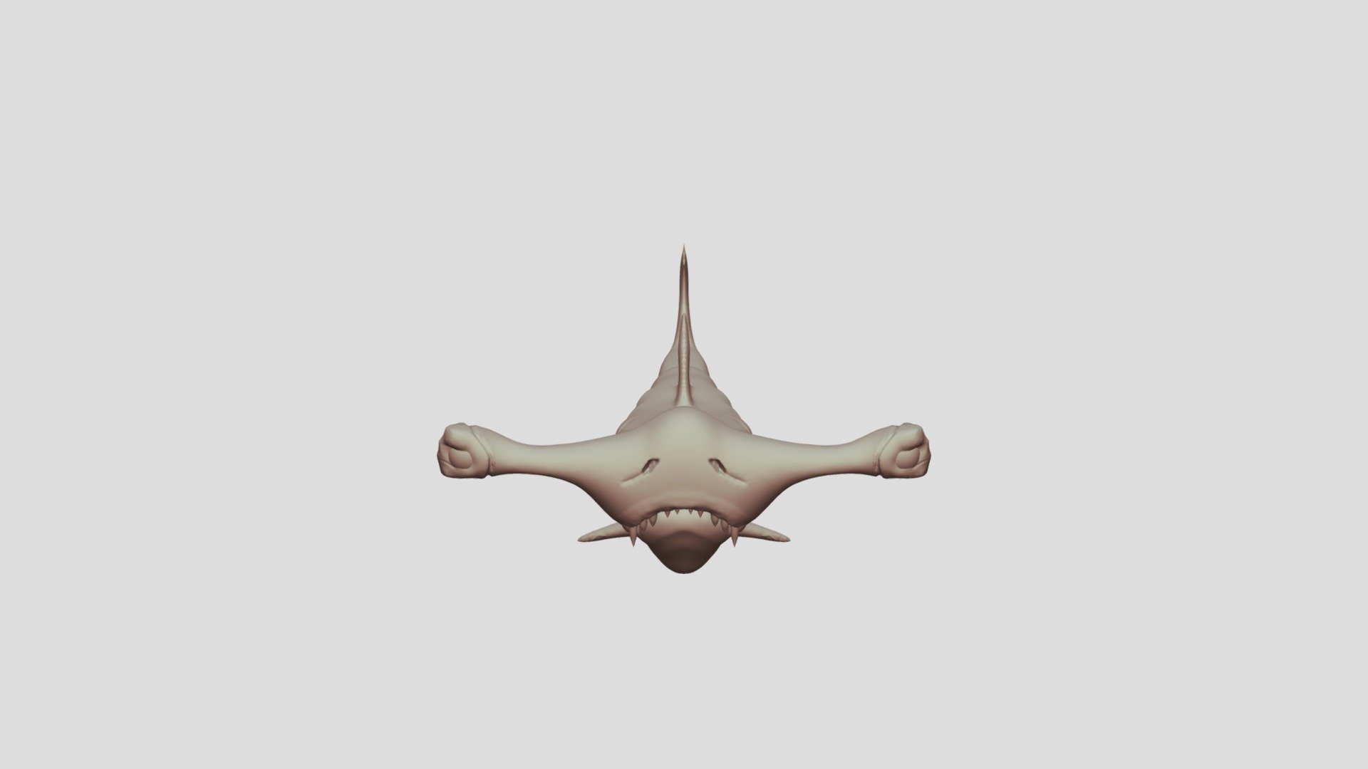 Hammerhead (cgcookie tutorial) - 3D model by et202 [6e8396d] - Sketchfab