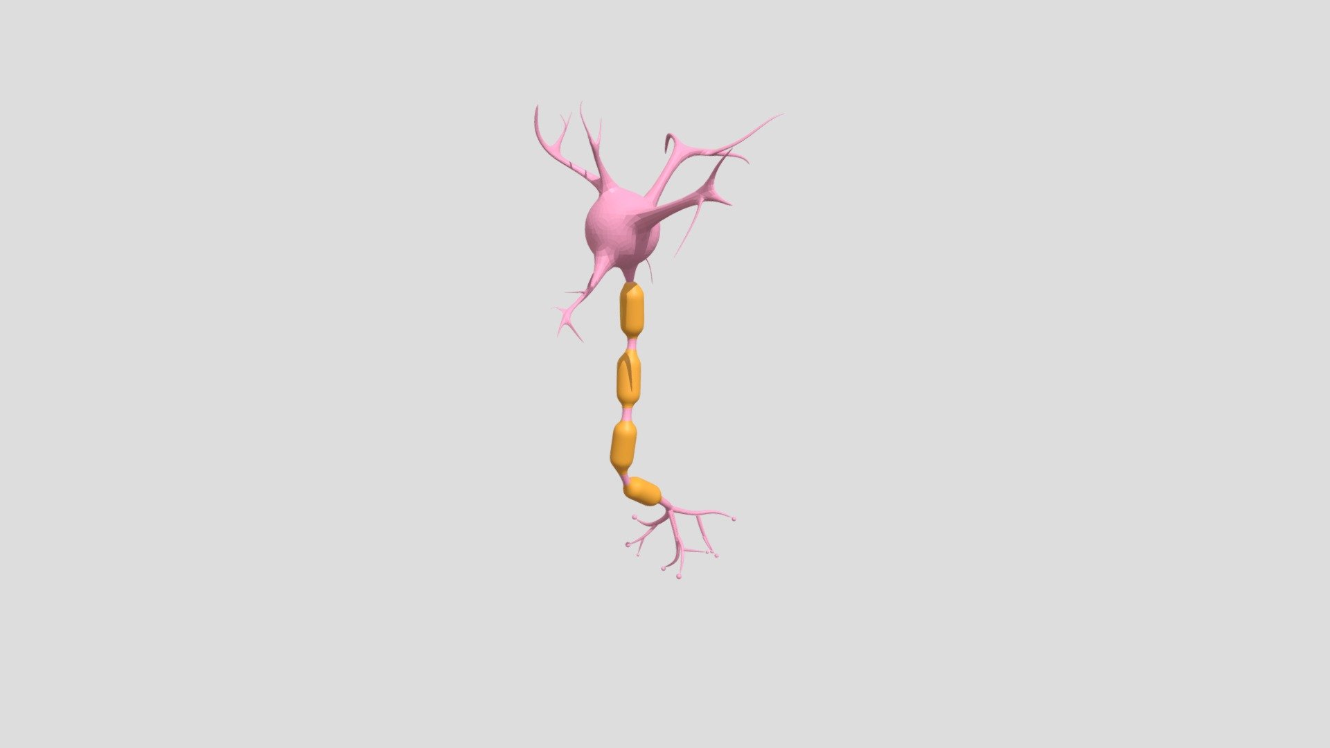 Neurona - Download Free 3D model by Rimsky (@wikarims) [6e8a5af ...