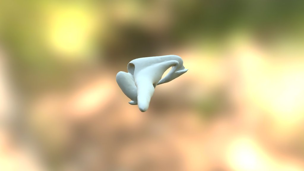 2770 - 3D model by leopoly1 [6e8f0e6] - Sketchfab