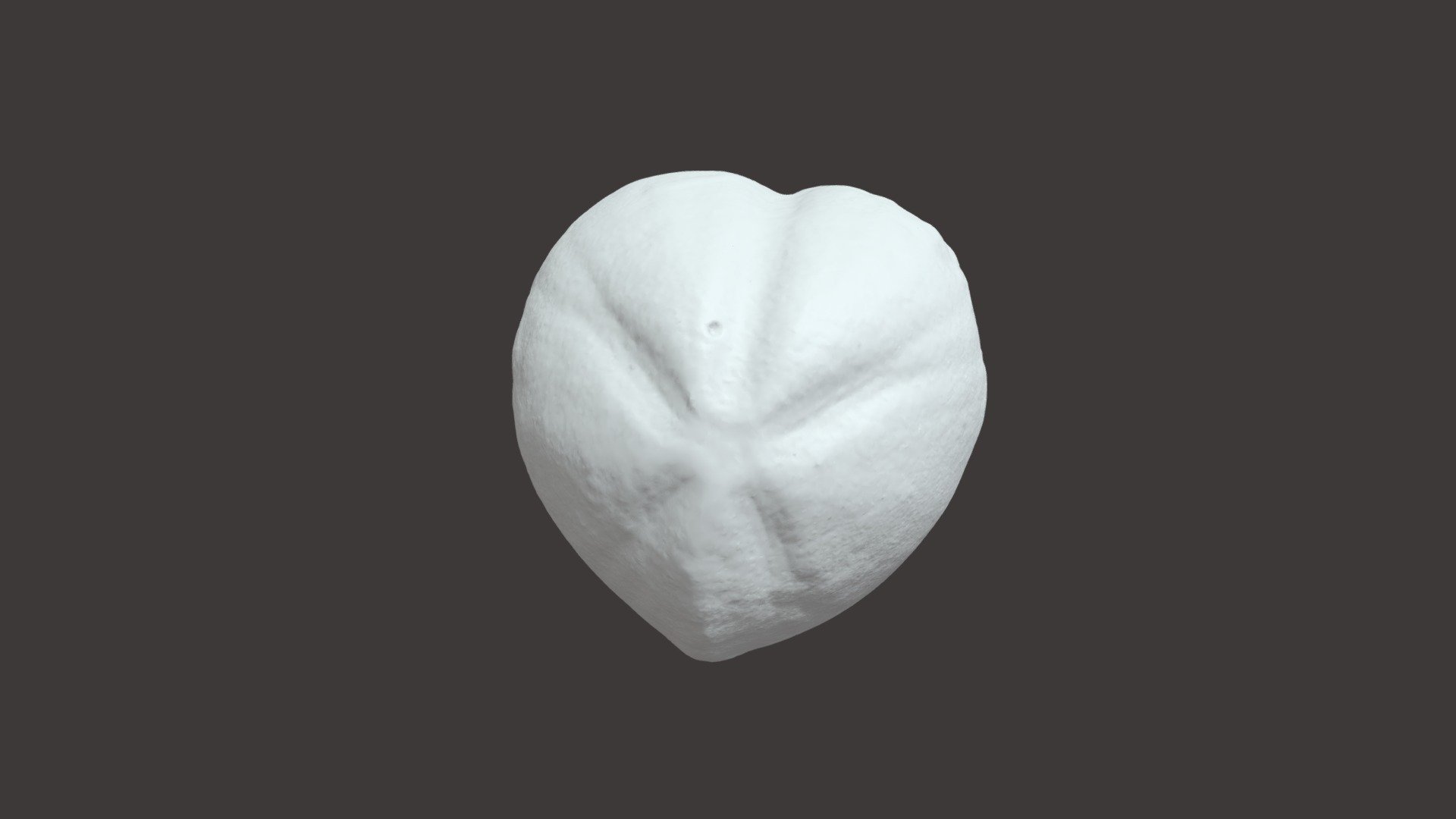 Micraster - 3D model by svtlyceepasteur [6e92e5b] - Sketchfab