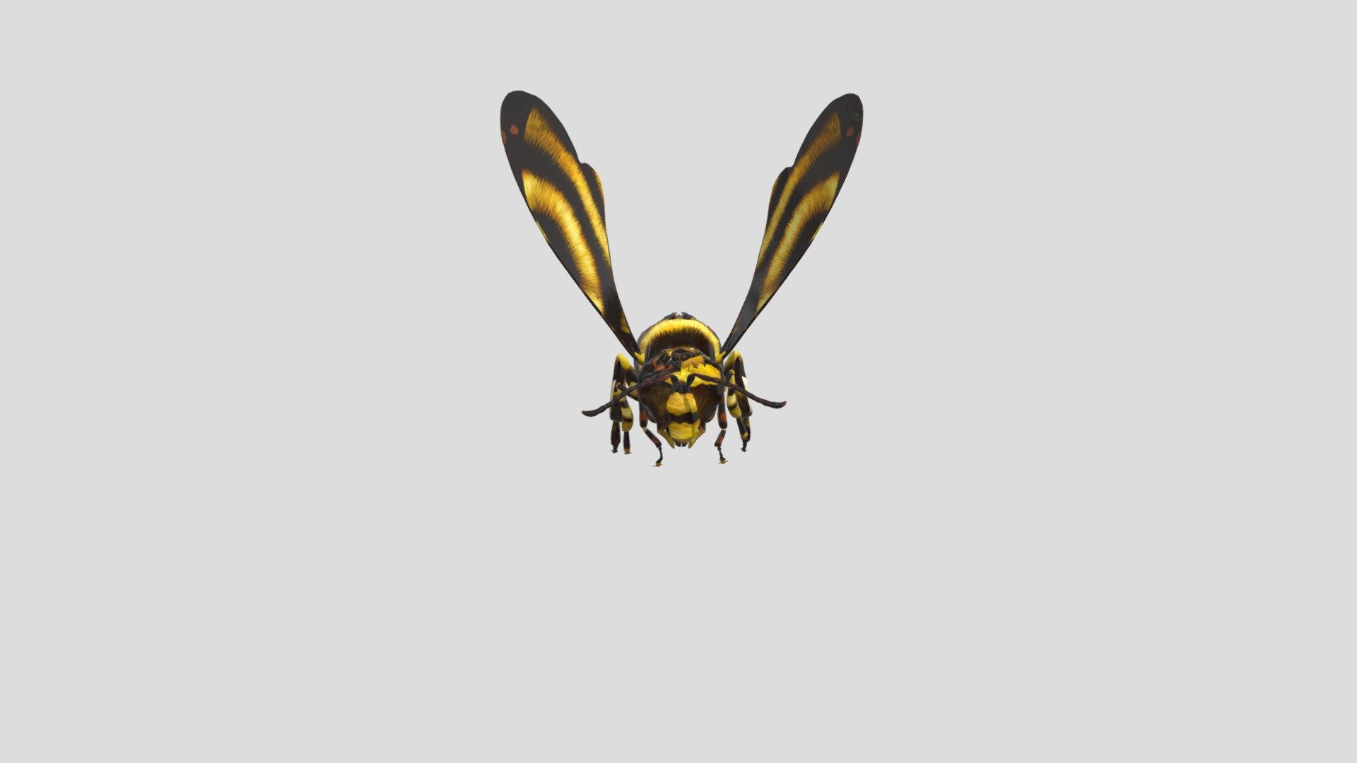 flying-bee - 3D model by SimonaGhenea [6ea1437] - Sketchfab