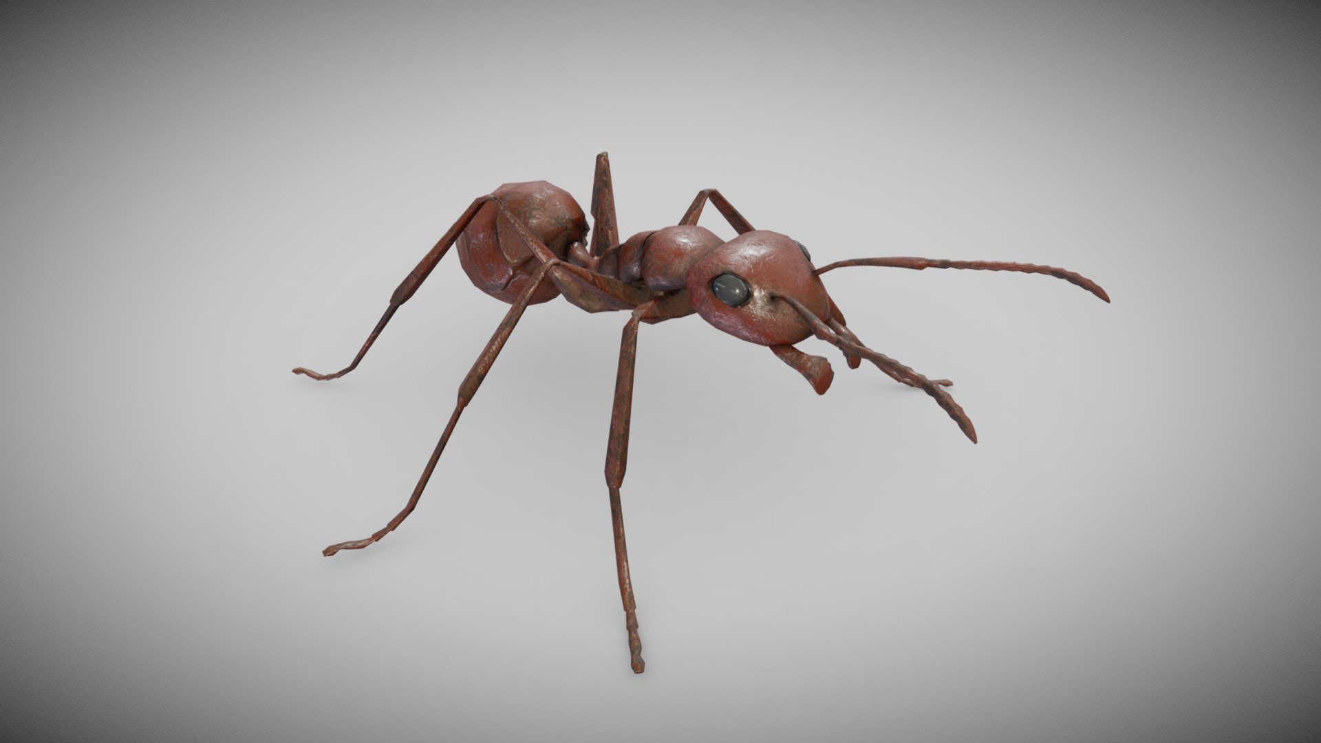 Ant - Download Free 3D model by Ergin ERYILDIR (@ergin3d.com) [6ea6dfb ...
