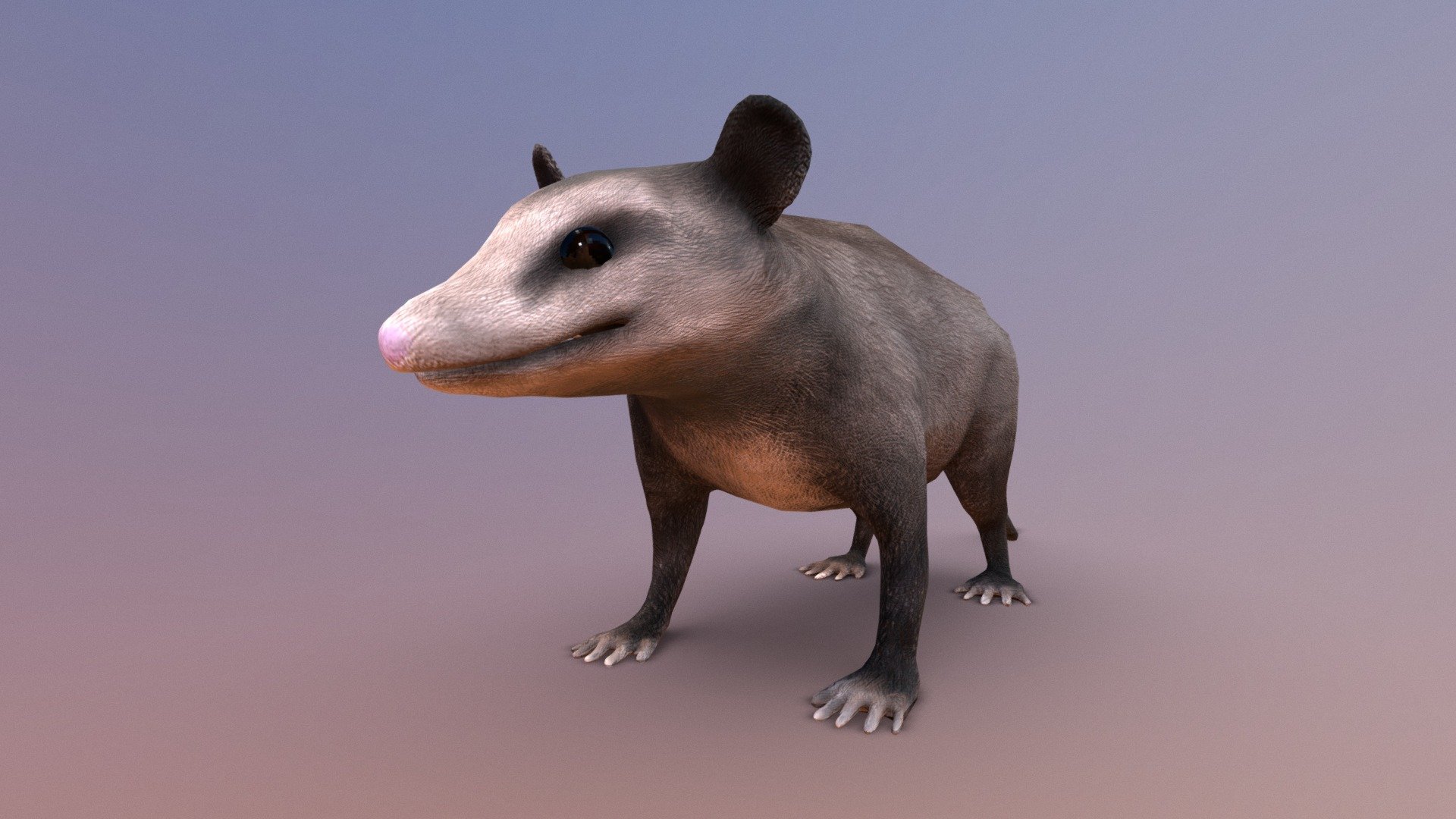 Sarigueya - 3D model by carlos.torres.mined [6ea81dd] - Sketchfab