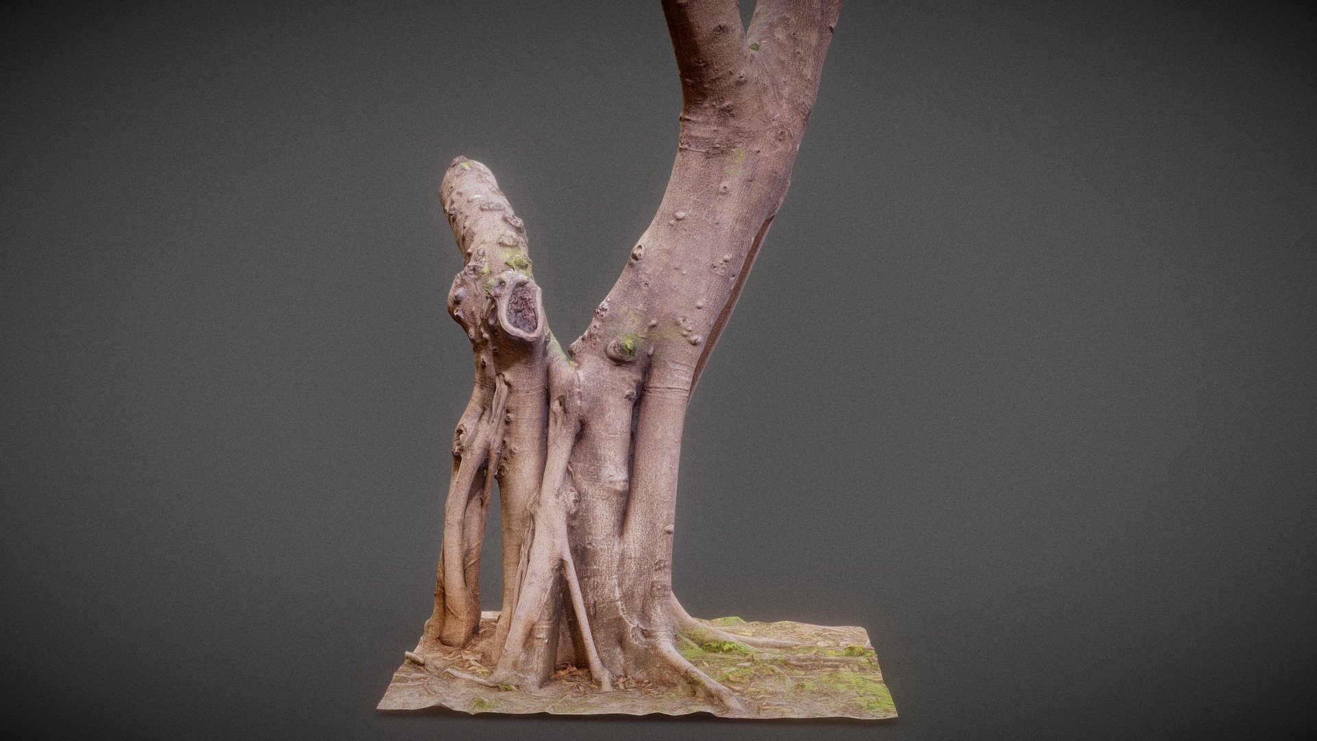 Road Tree - Buy Royalty Free 3D model by Polygonal Miniatures ...