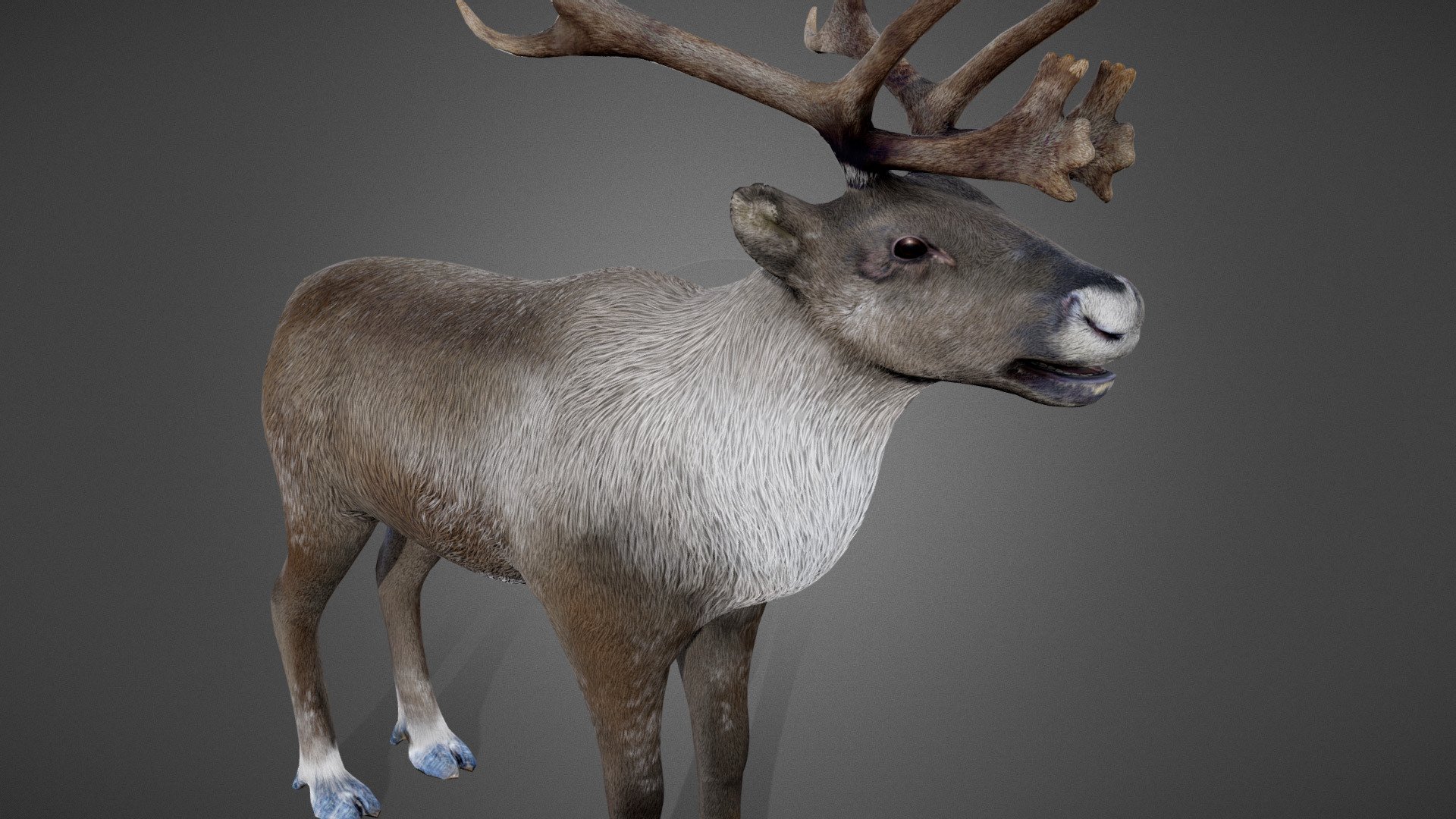 Reindeer - 3D model by Ramhat [6eb3e48] - Sketchfab
