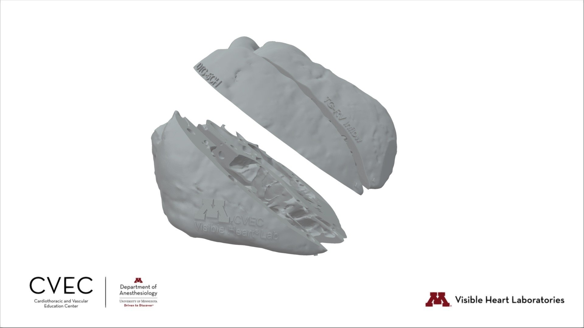 Deep TG 5CH-RV inflow - Download Free 3D model by CVEC [6eb4485 ...