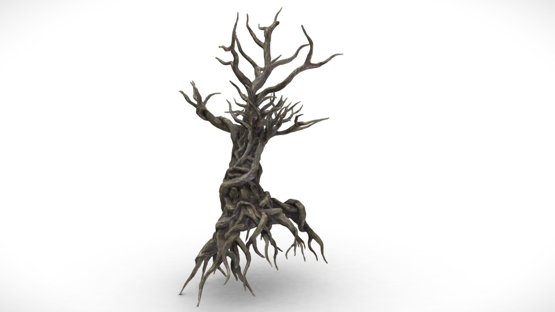 Fantasy Dark Forest Root Tree c - Scary - 4k - Buy Royalty Free 3D ...