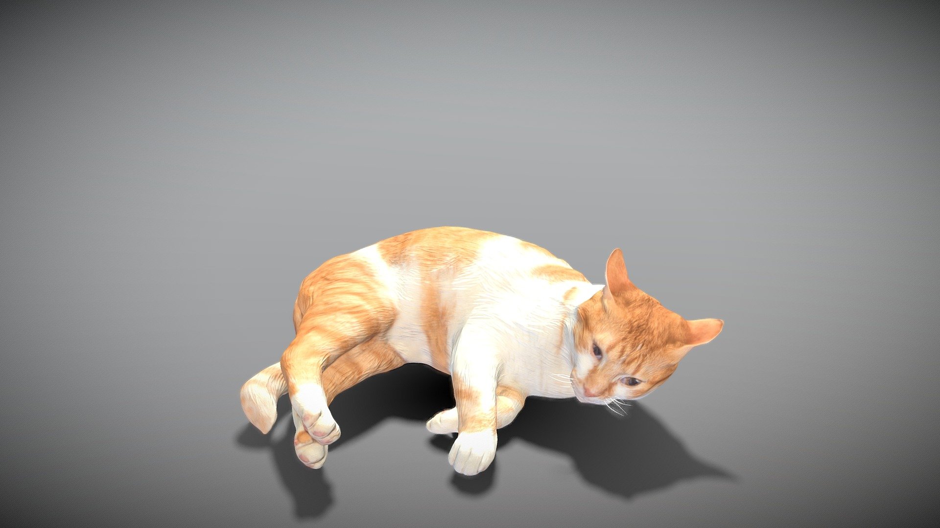 Lying cat 43 - Buy Royalty Free 3D model by deep3dstudio [6eb8330 ...
