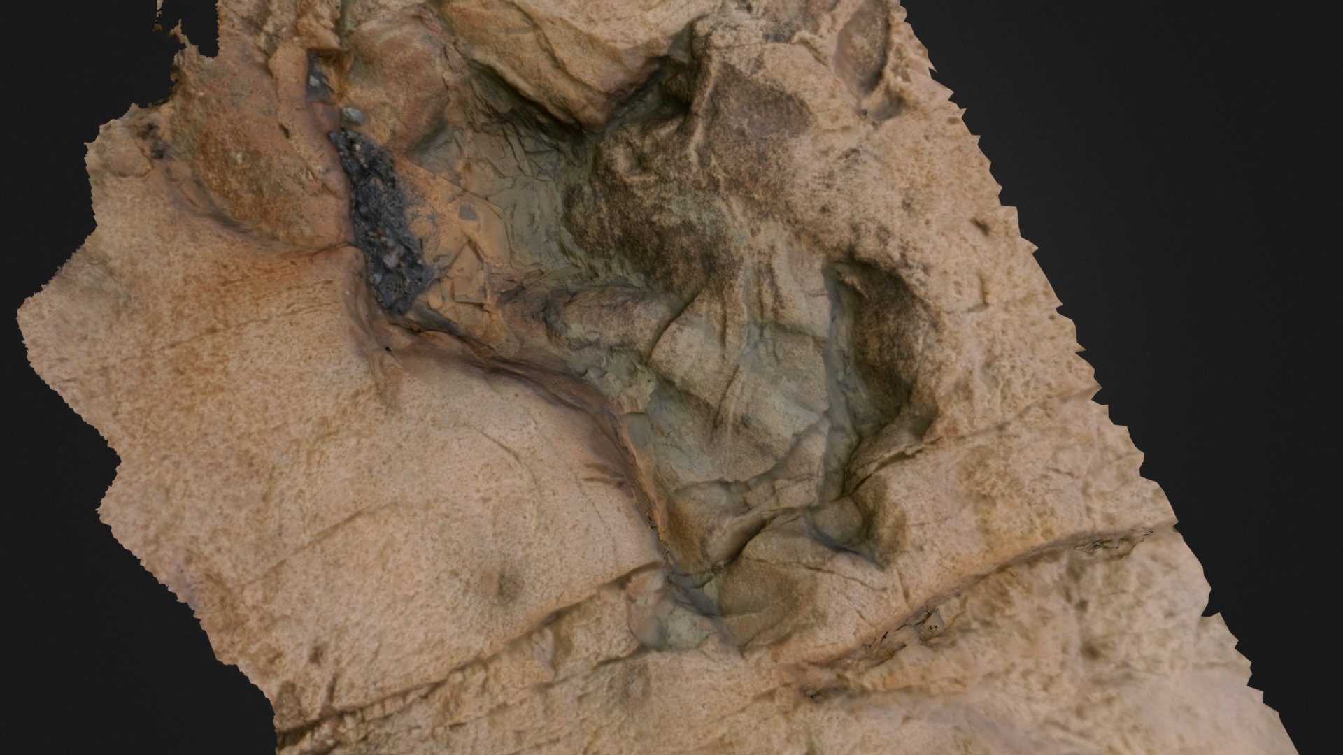 Emaney Archosaurus path - 3D model by DroneGo (@JeromeMathey) [6eba831 ...
