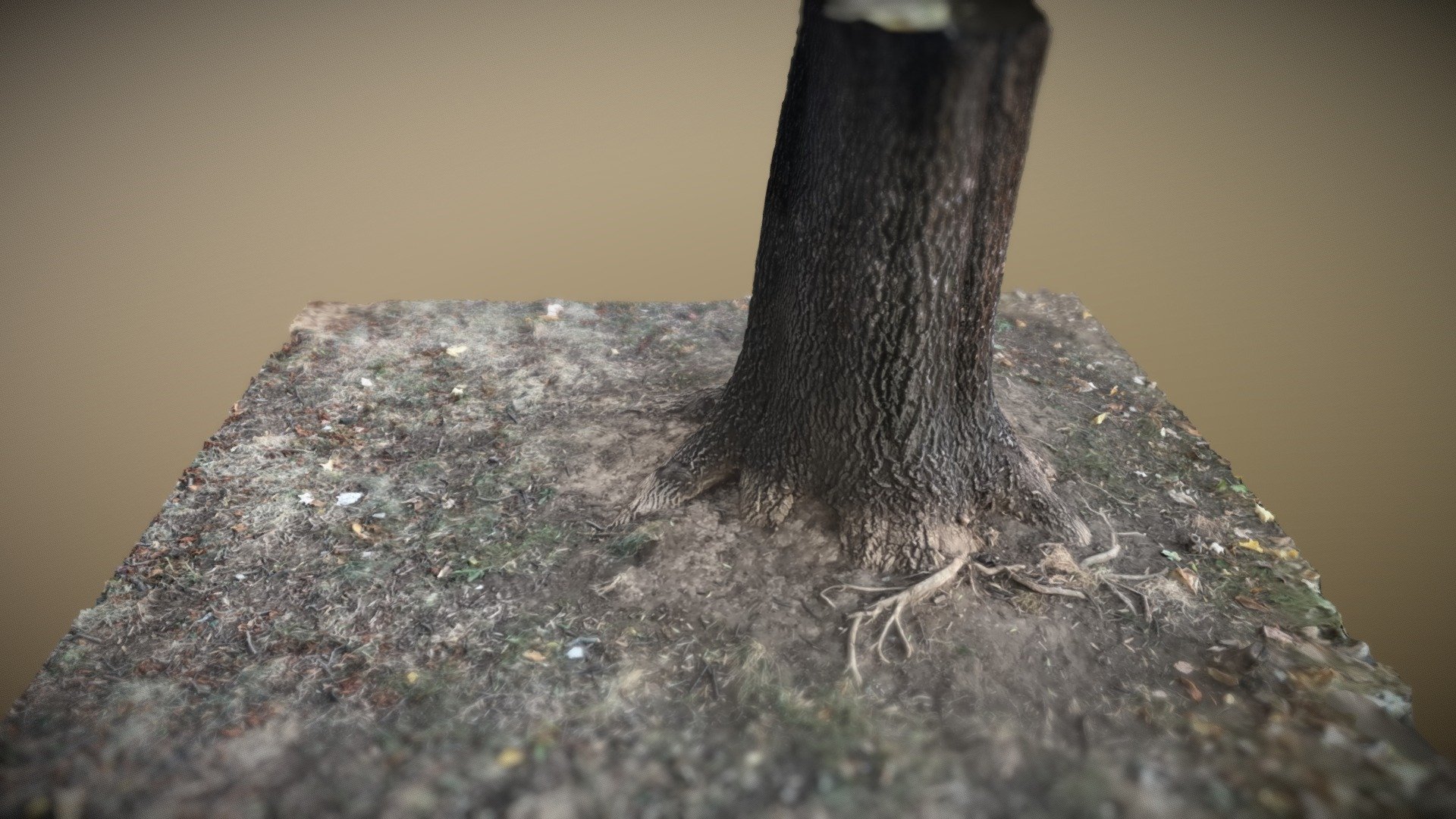 Tree Trunk - Download Free 3D model by mitakazoom [6ebf4c6] - Sketchfab