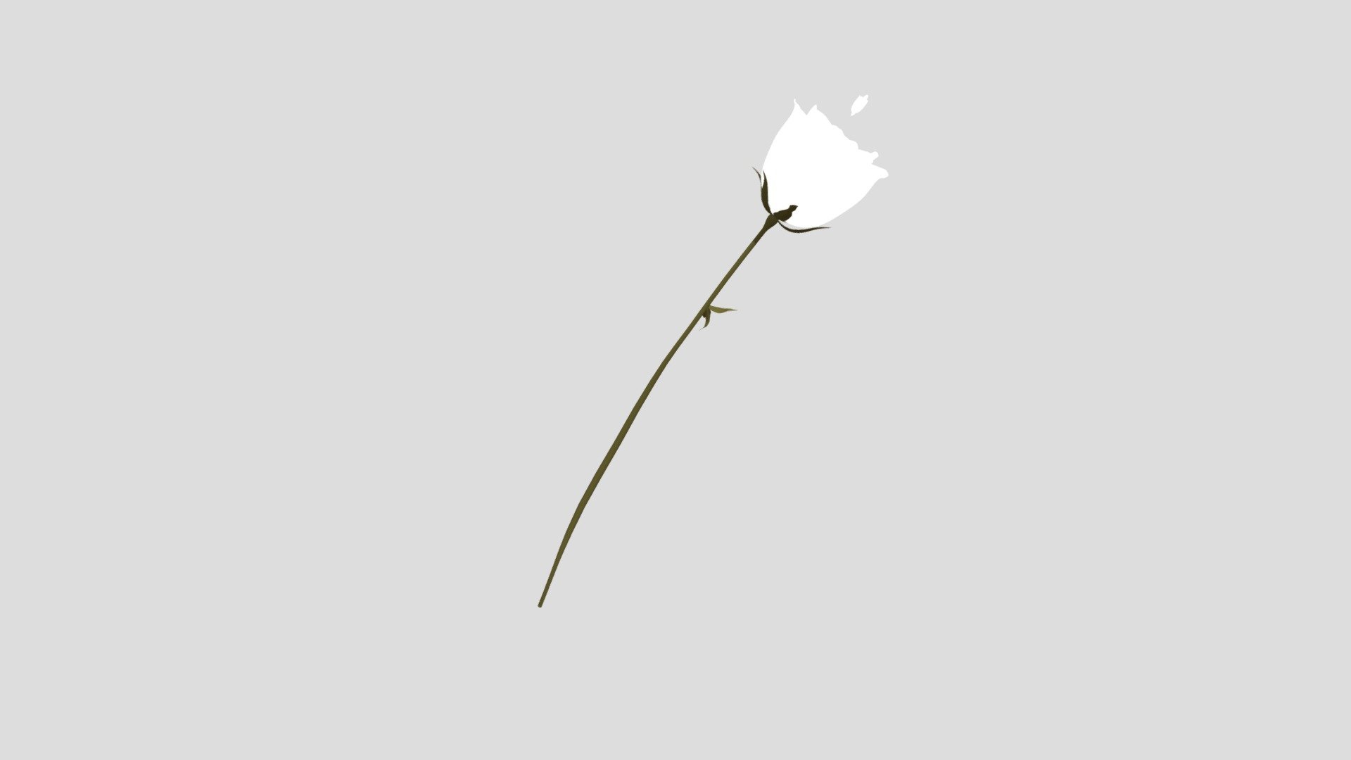 Rose Animated - Download Free 3D model by m7mdrf3t [6ecc642] - Sketchfab