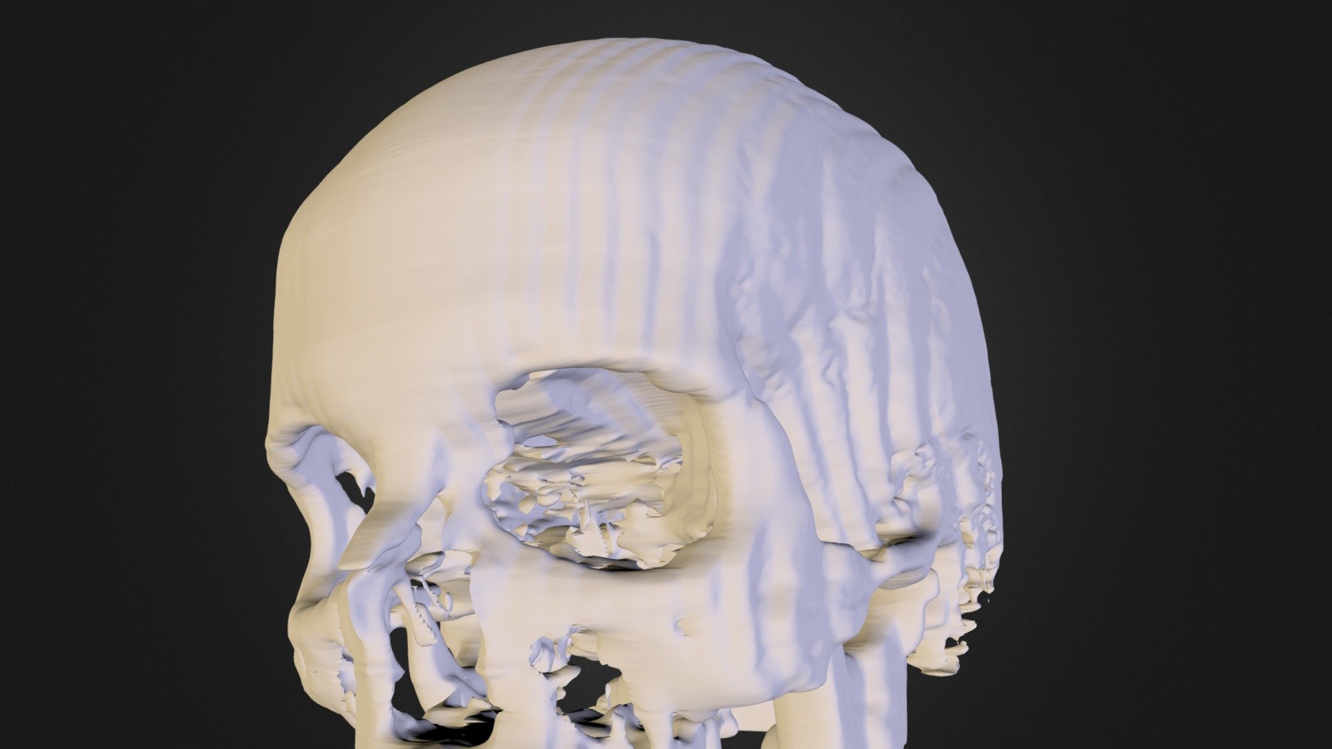 Skull model From GE CT Scanner #3DST - Download Free 3D model by Owl ...