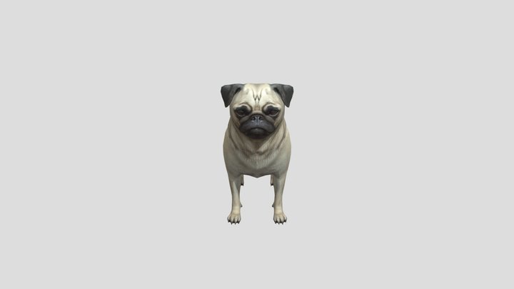 Pug 3D models - Sketchfab
