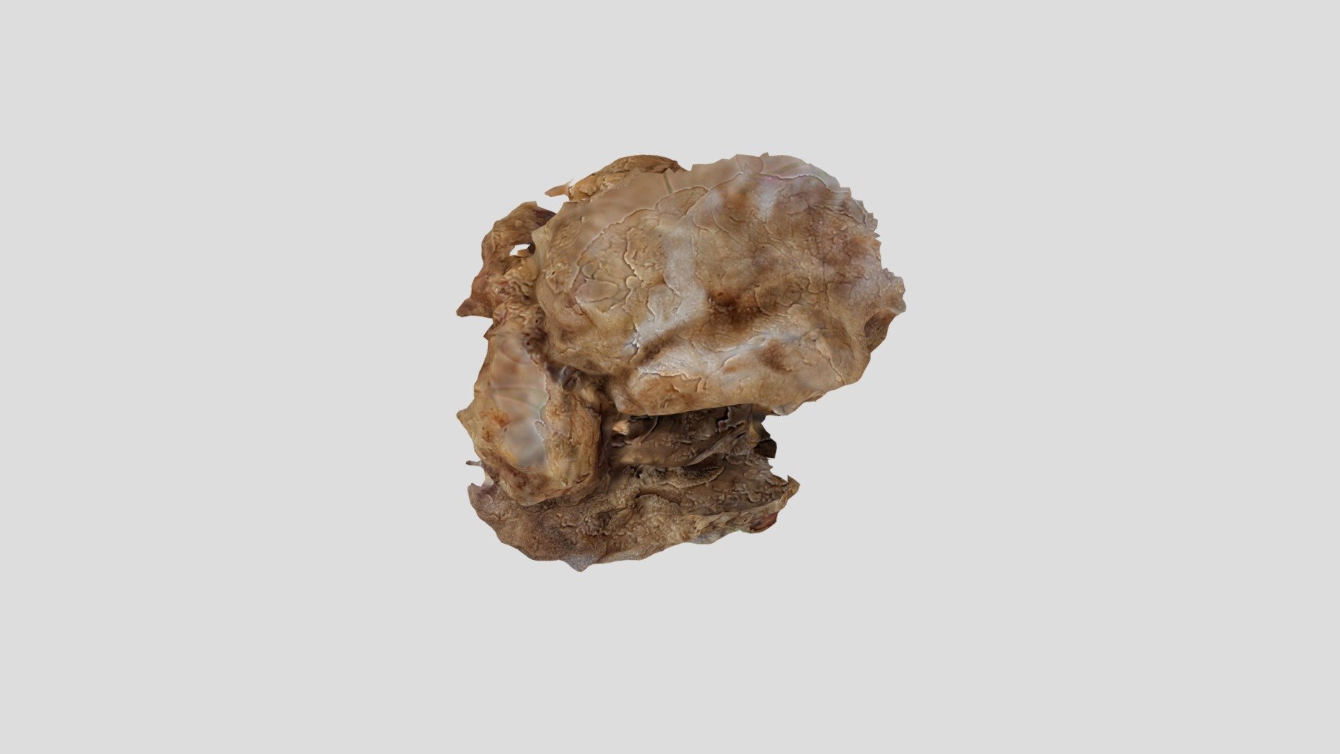 Fried Chicken - Download Free 3D model by haifa_123 [6ee028b] - Sketchfab