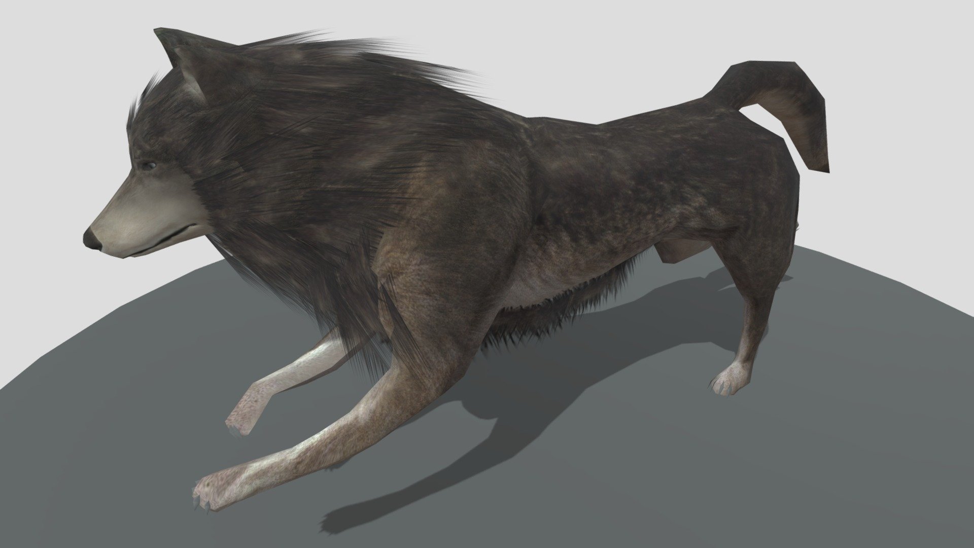 wolf - Download Free 3D model by aj501510 [6ee3a95] - Sketchfab