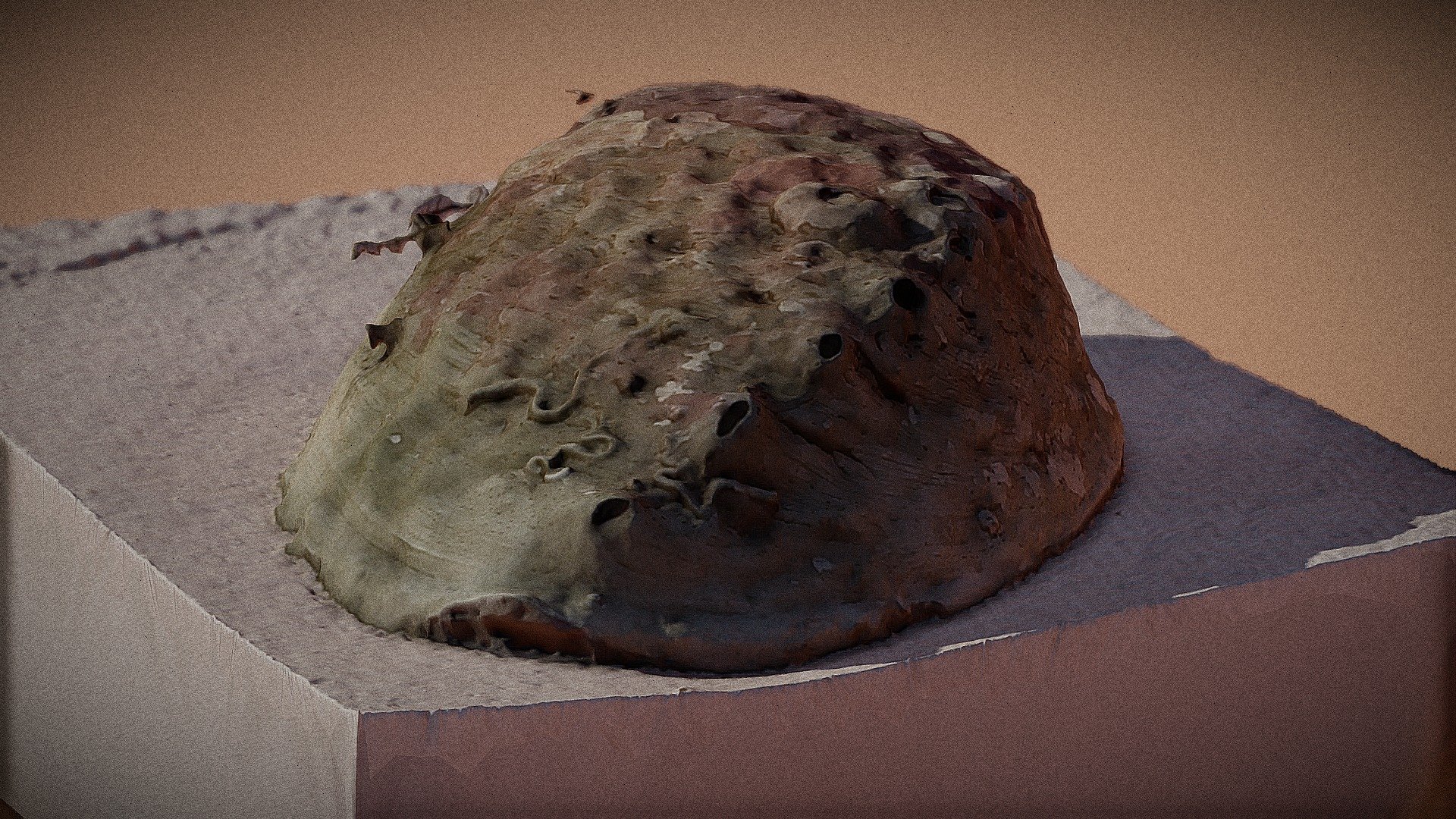 Pawa shell - Download Free 3D model by Elkabyle [6eea901] - Sketchfab